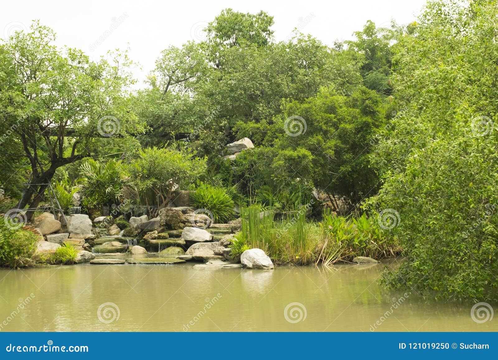 Landscape of Waterfall and Tree. Background and Texture of Nature Stock ...