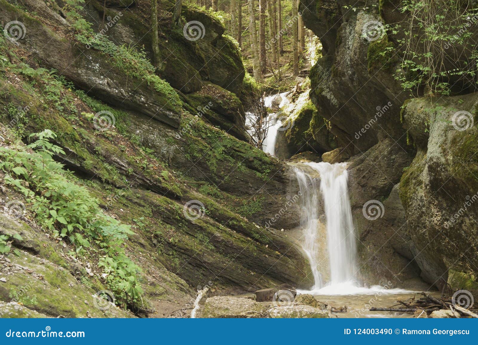 Landscape with Waterfall, Vegetation and Trees Stock Photo - Image of ...