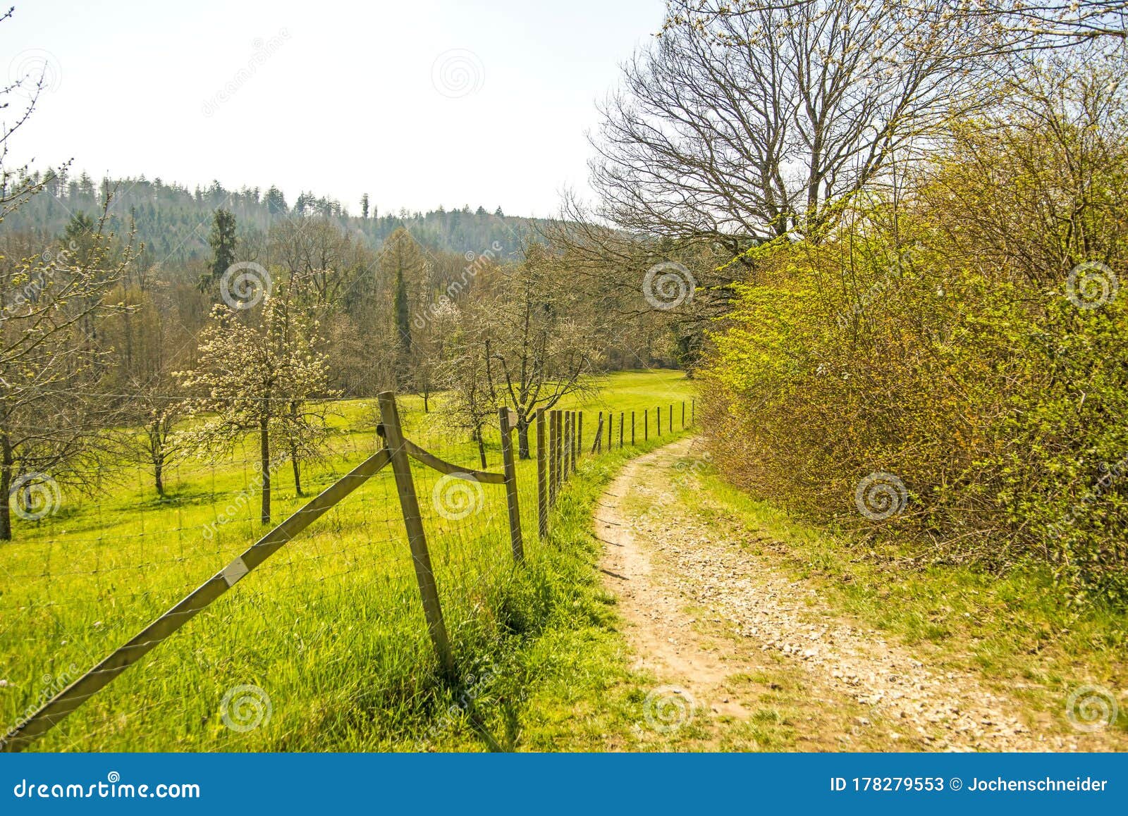 Landscape with Way, Meadow, Trees, Bushes in Early Spring Stock Image ...
