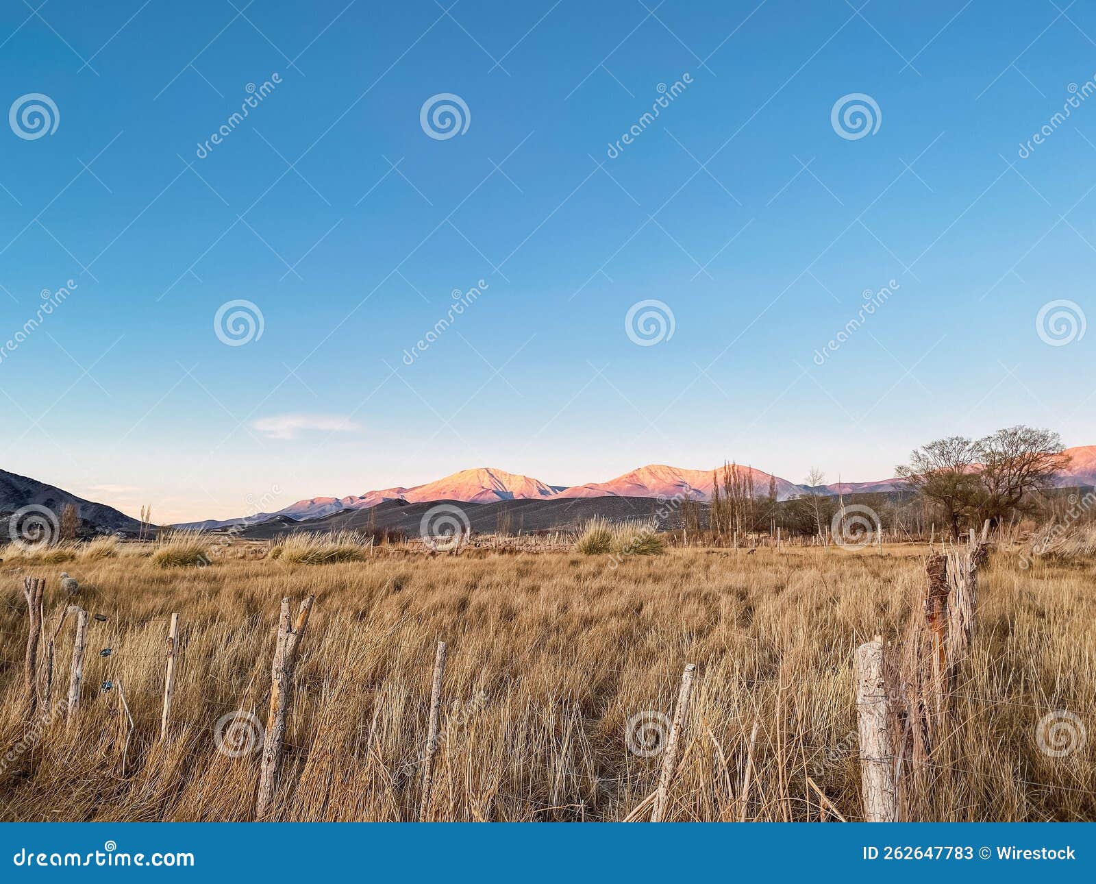 Landscape of Wide Fields Full of Dry Grass with Mountain Ranges on the ...