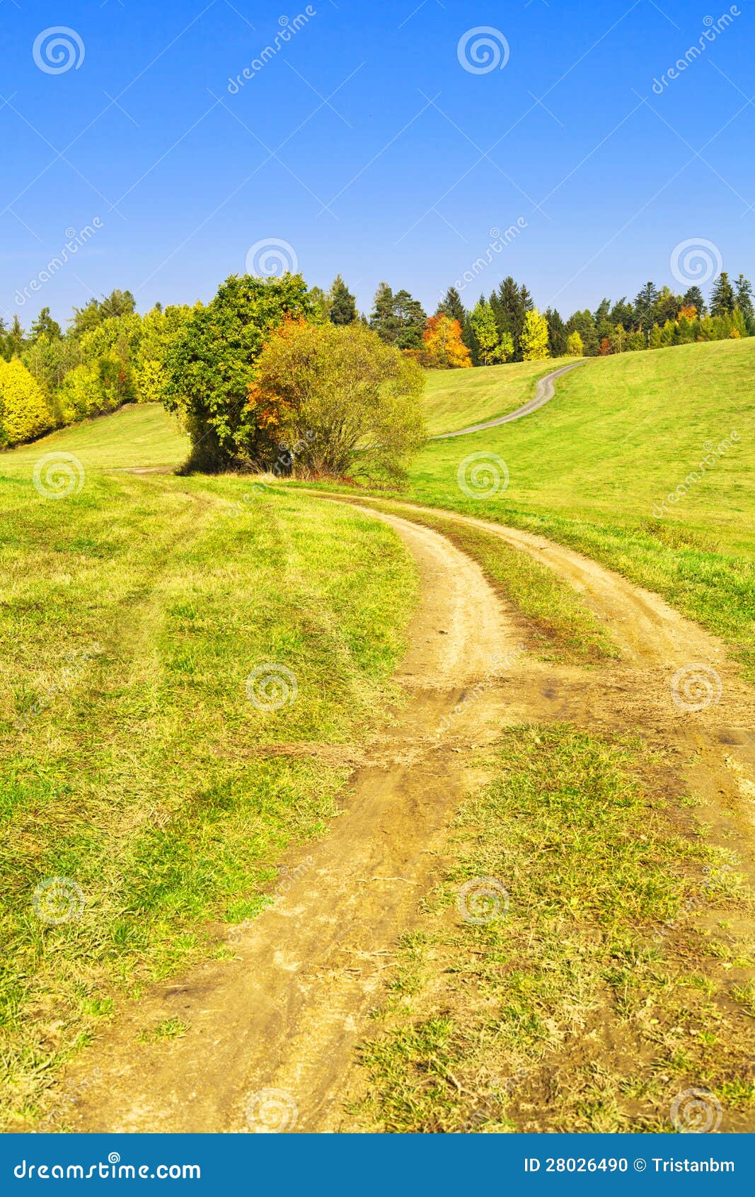 Landscape and Winding Track Stock Photo - Image of nature, countryside ...