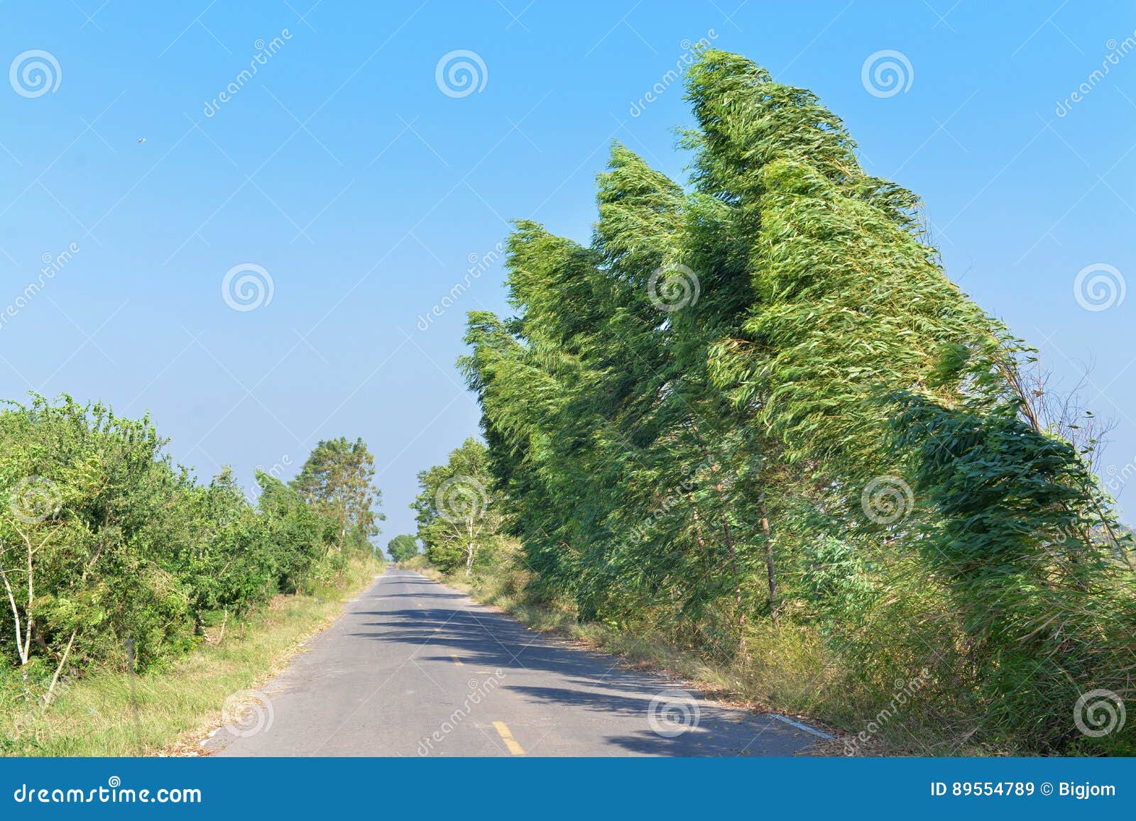 Landscape of Windy road stock image. Image of natural - 89554789