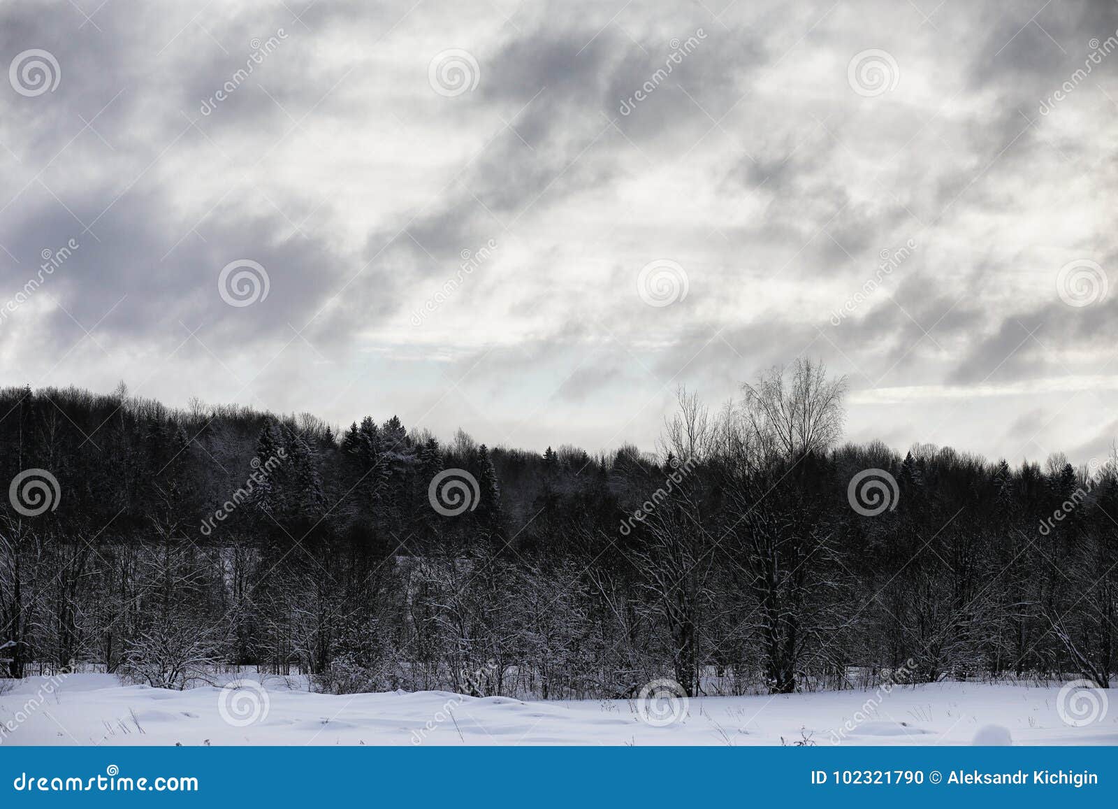 Landscape in the Winter Cloudy Day Stock Photo - Image of lane, pine ...