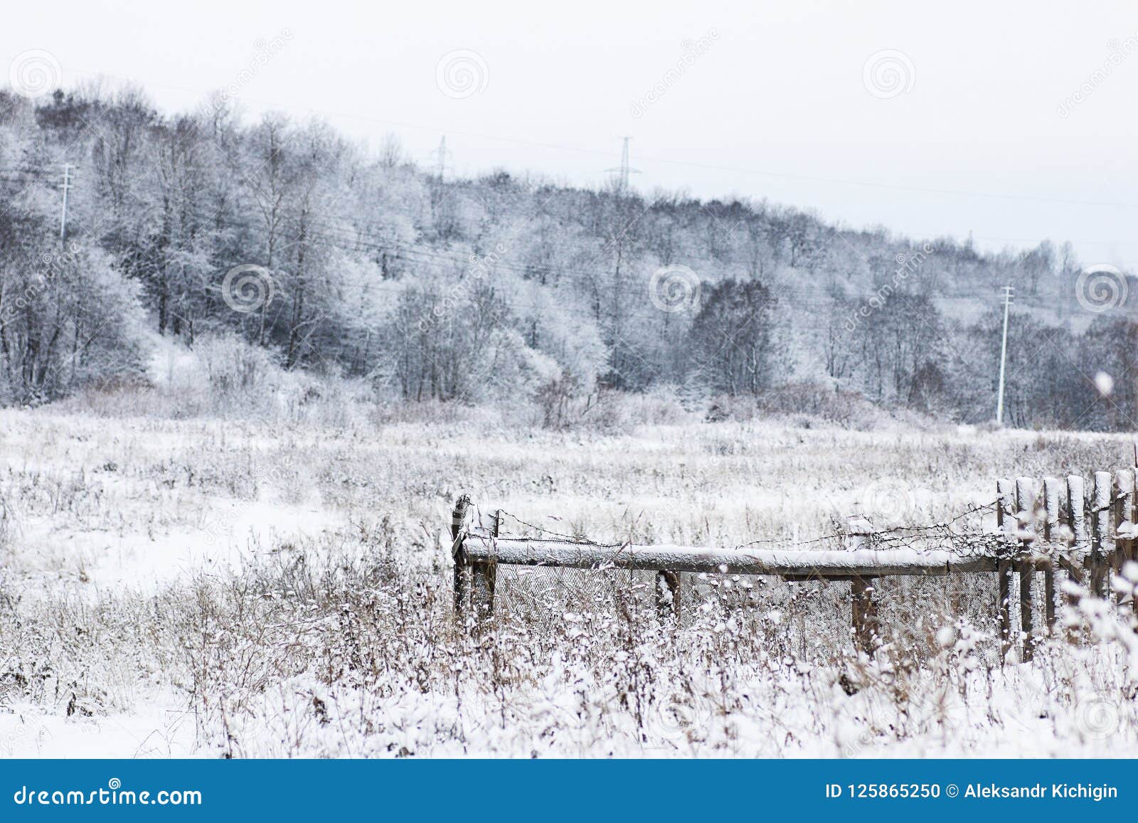 Landscape in the Winter Cloudy Day Stock Photo - Image of country, cold ...