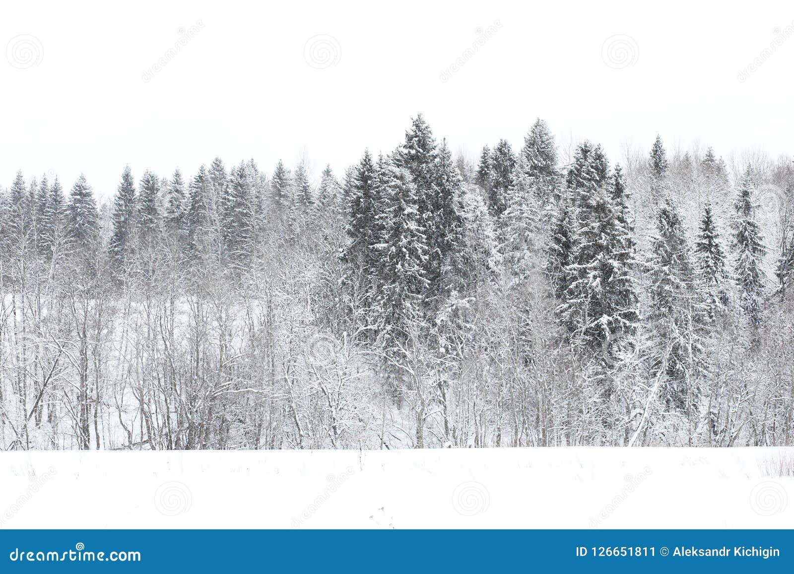 Landscape in the Winter Cloudy Day Stock Image - Image of light ...