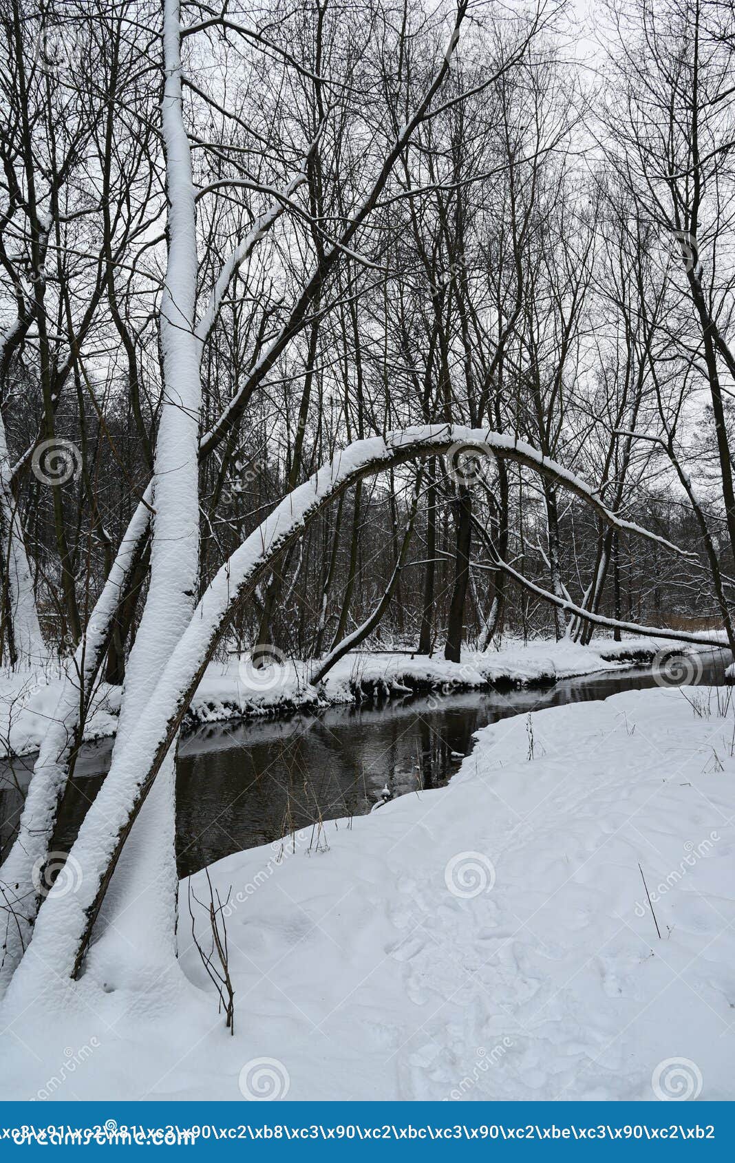 Landscape in Winter by the River Stock Image - Image of snowy, park ...