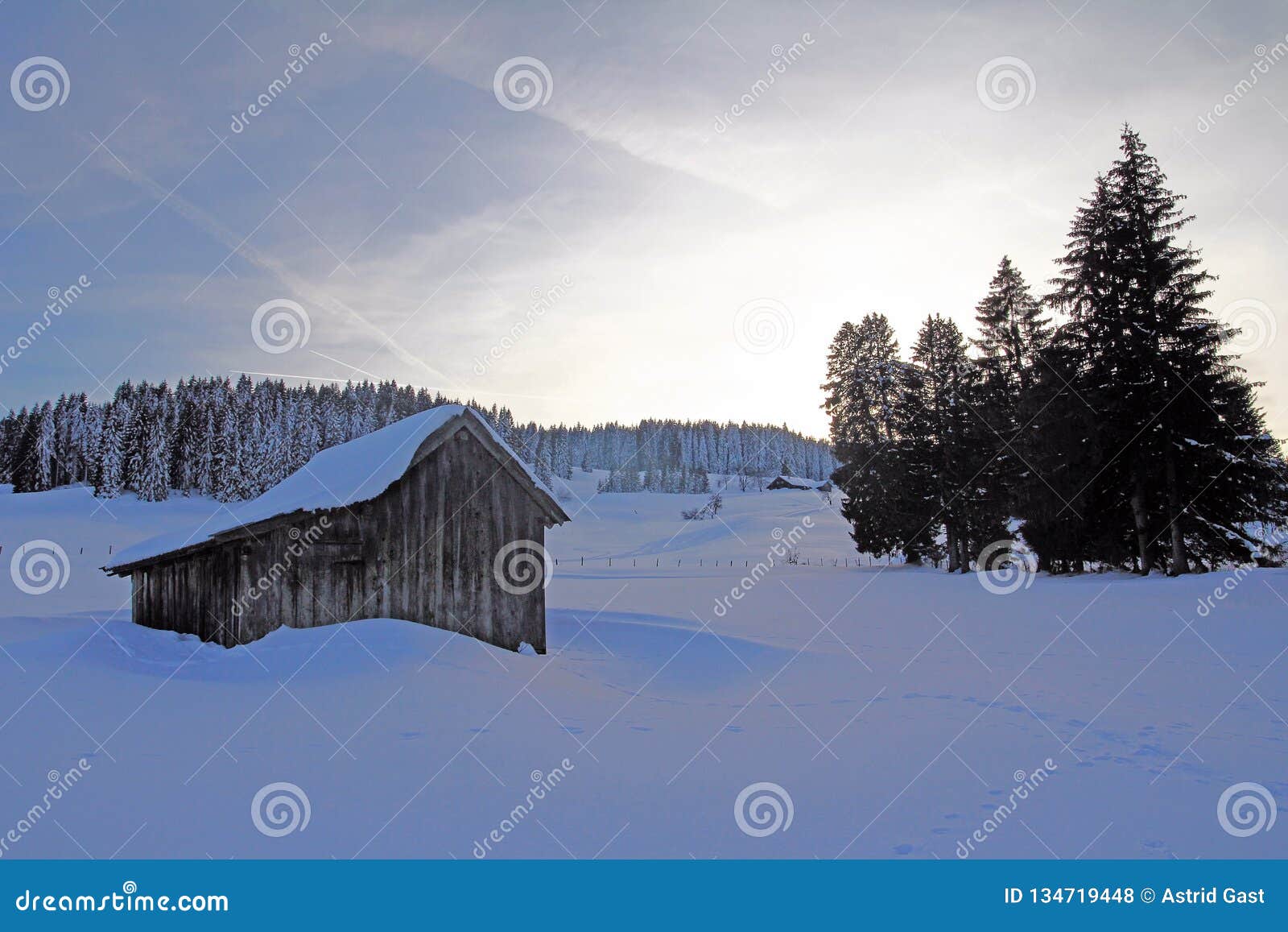 A Landscape in Winter with a Wooden Hut and Trees Stock Photo - Image ...