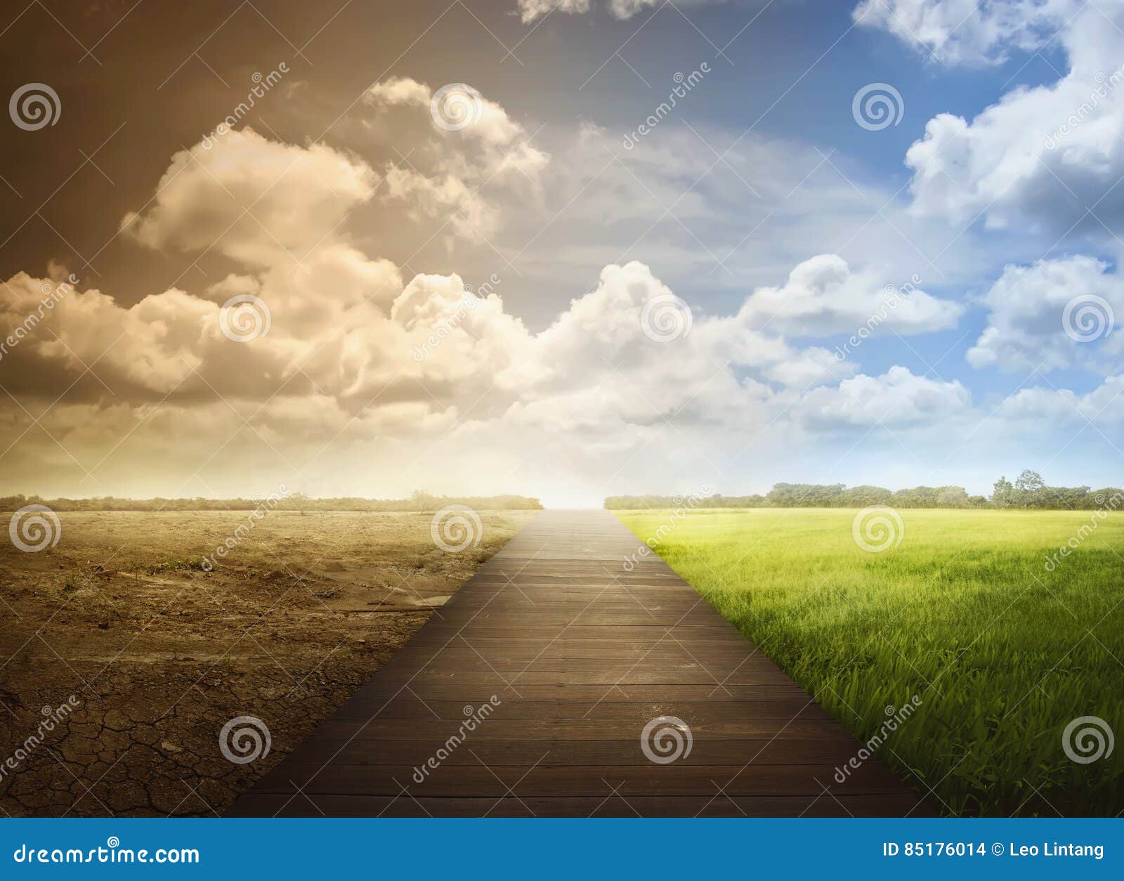 Landscape of Wooden Pathway with the Changing Environment Stock Photo ...
