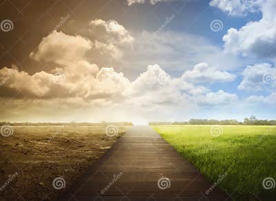 Landscape of Wooden Pathway with the Changing Environment Stock Photo ...