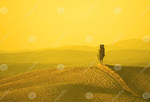 Landscape in Yellow Sunset Light Stock Image - Image of background ...