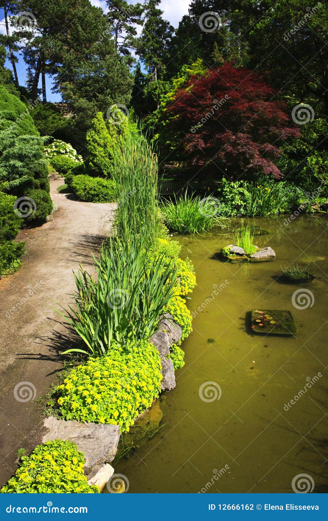 Landscaped Garden Path and Pond Stock Photo - Image of plants, natural ...