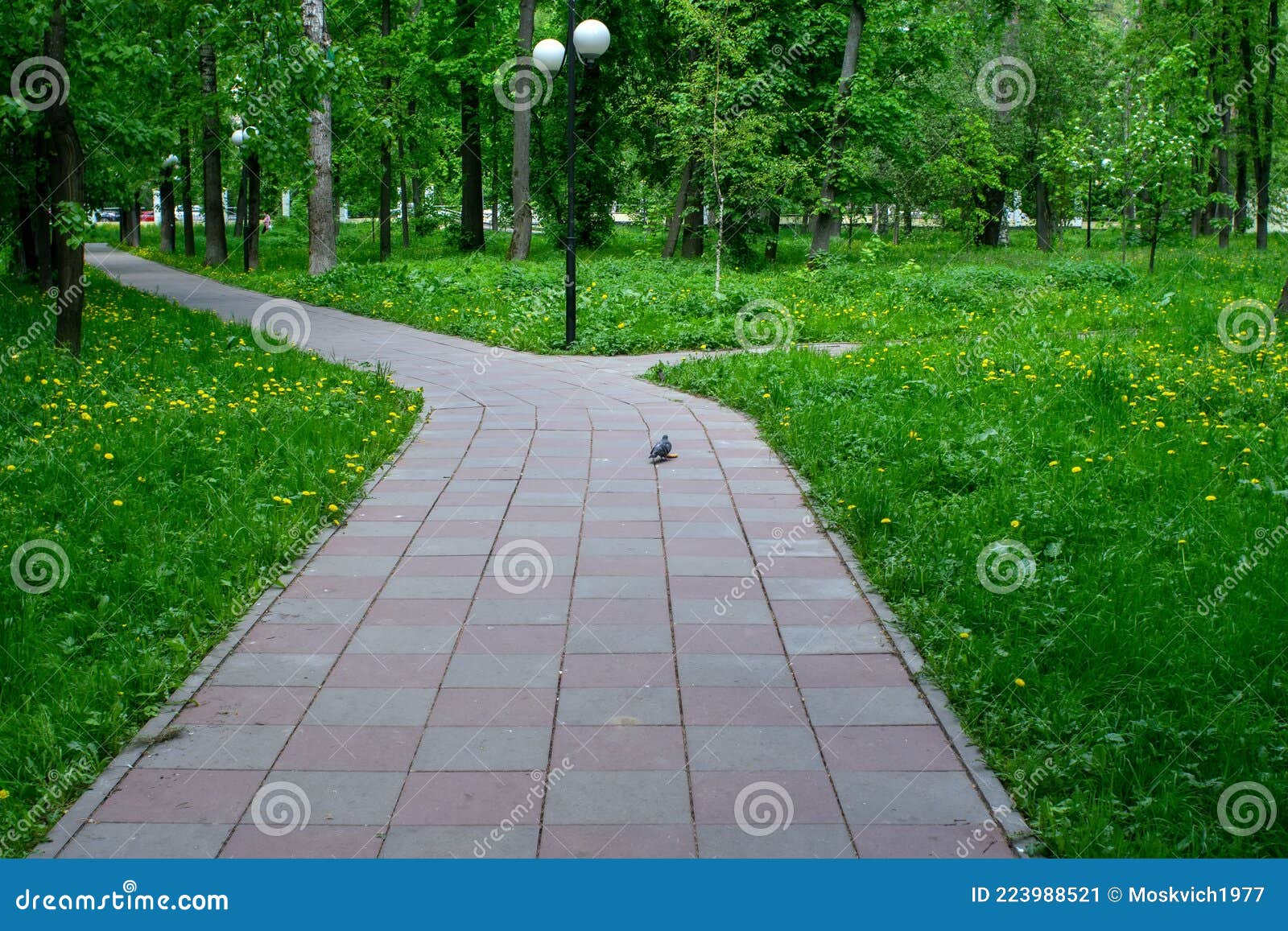 Landscaped Path among the Trees in the Park Stock Image - Image of ...