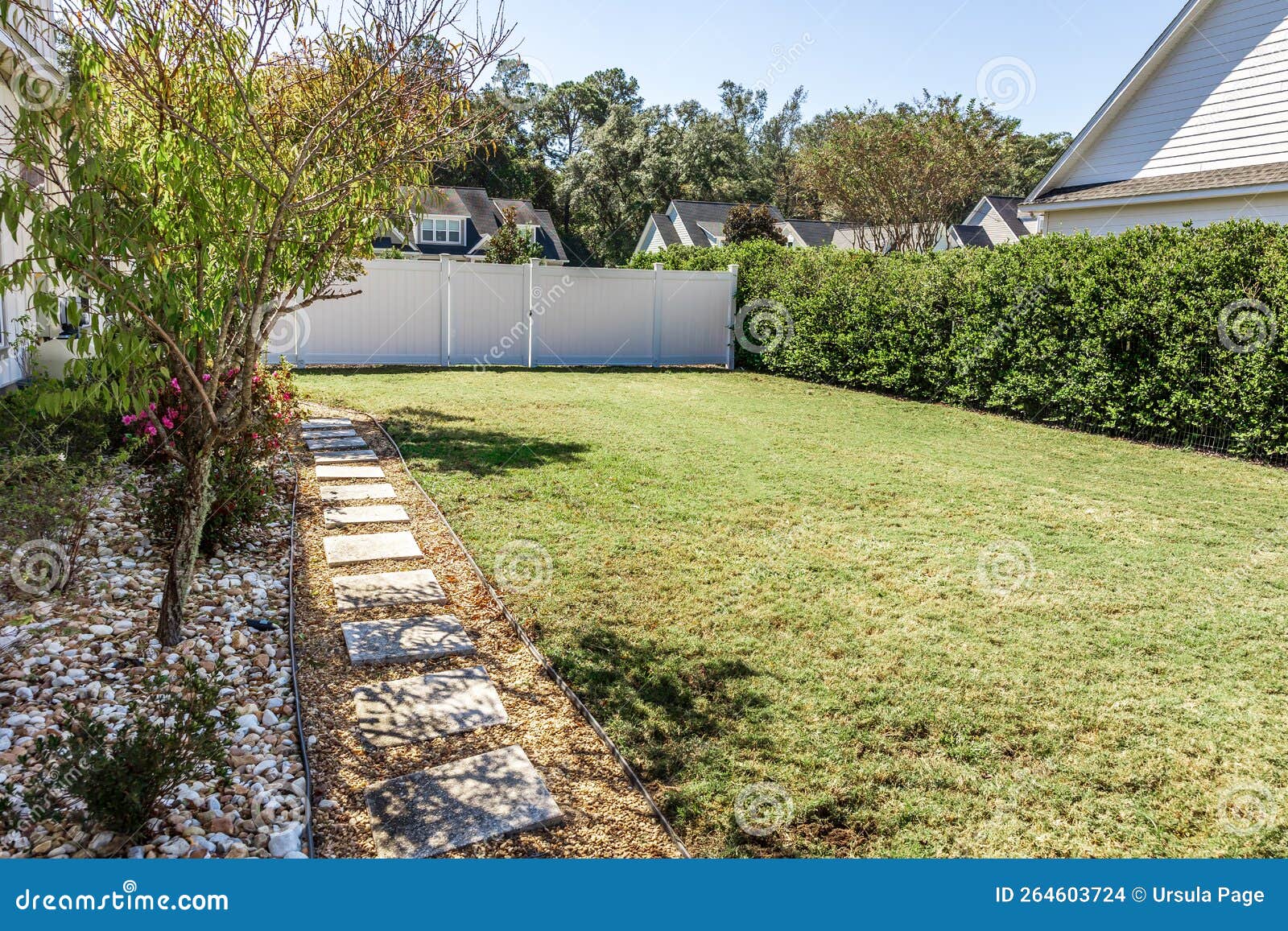 A Landscaped Small Side Yard of a New Construction House with a Young ...
