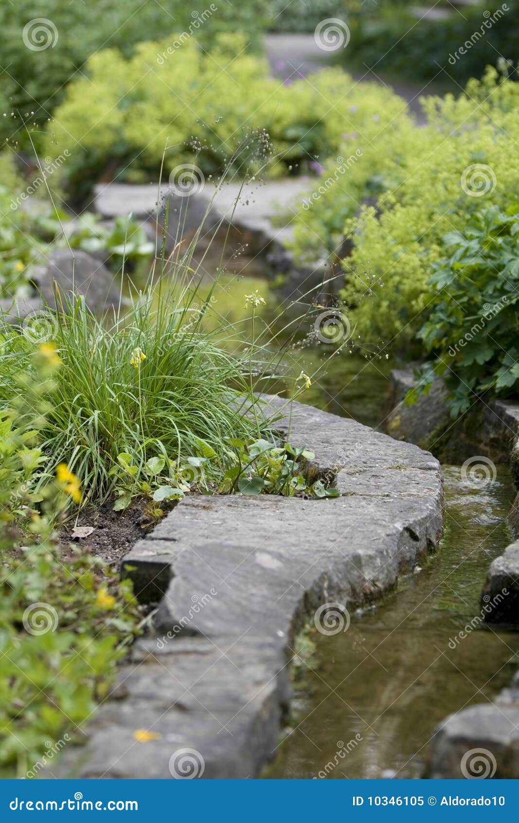 Landscaped Stream in Garden Stock Image - Image of receding, background ...