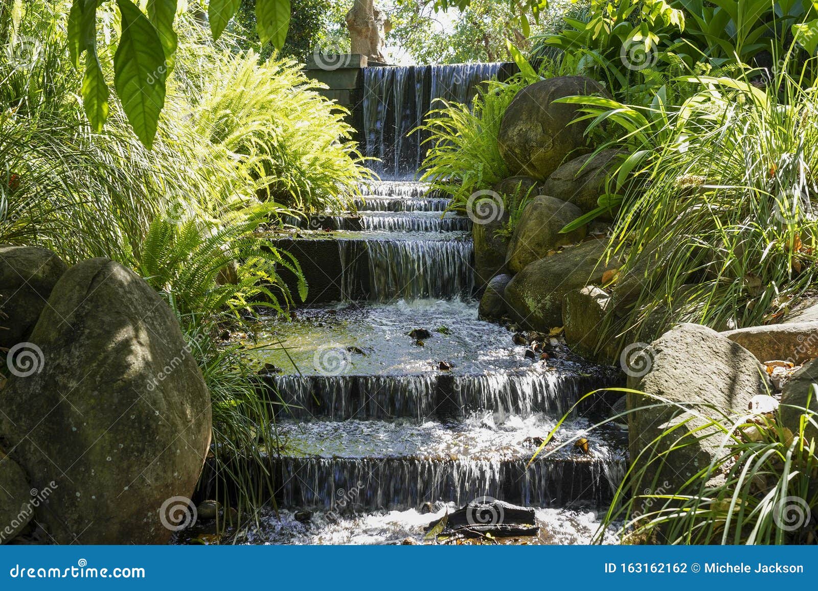 Landscaped Waterfall in Botanic Gardens Stock Photo - Image of ferns ...