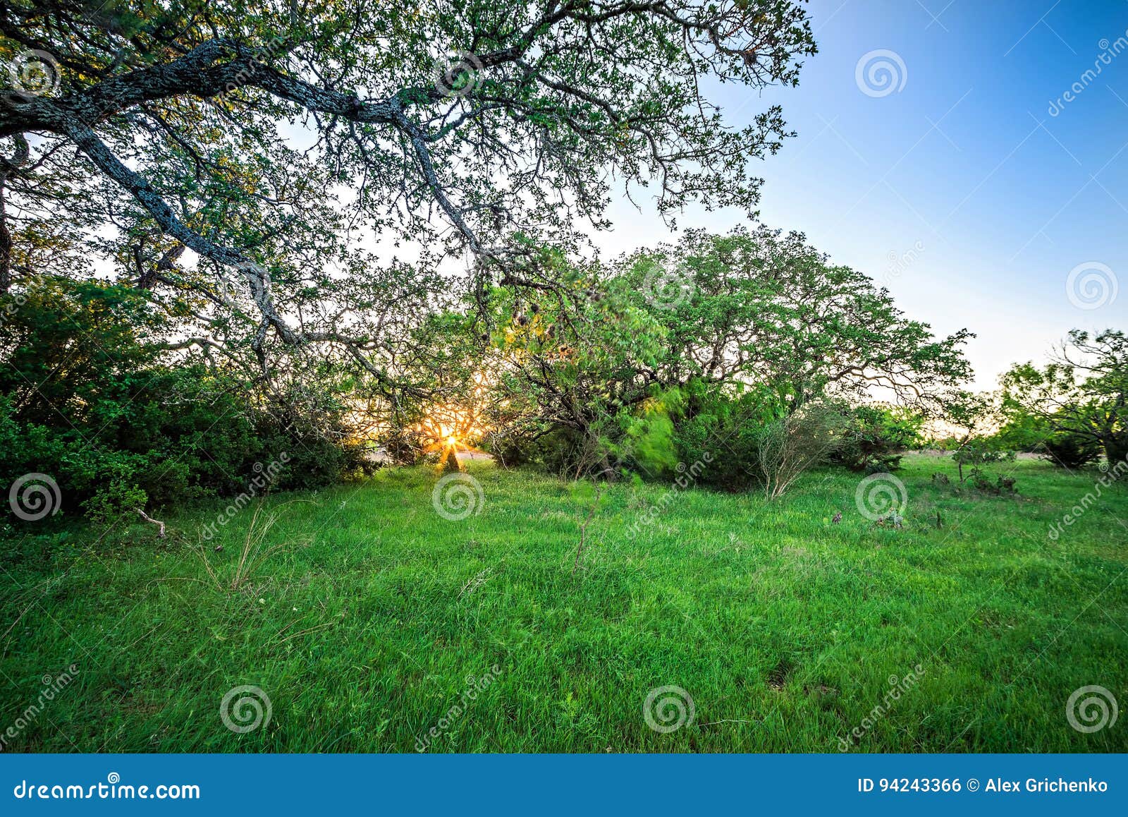 Landscapes Around Willow City Loop Texas at Sunset Stock Photo - Image ...