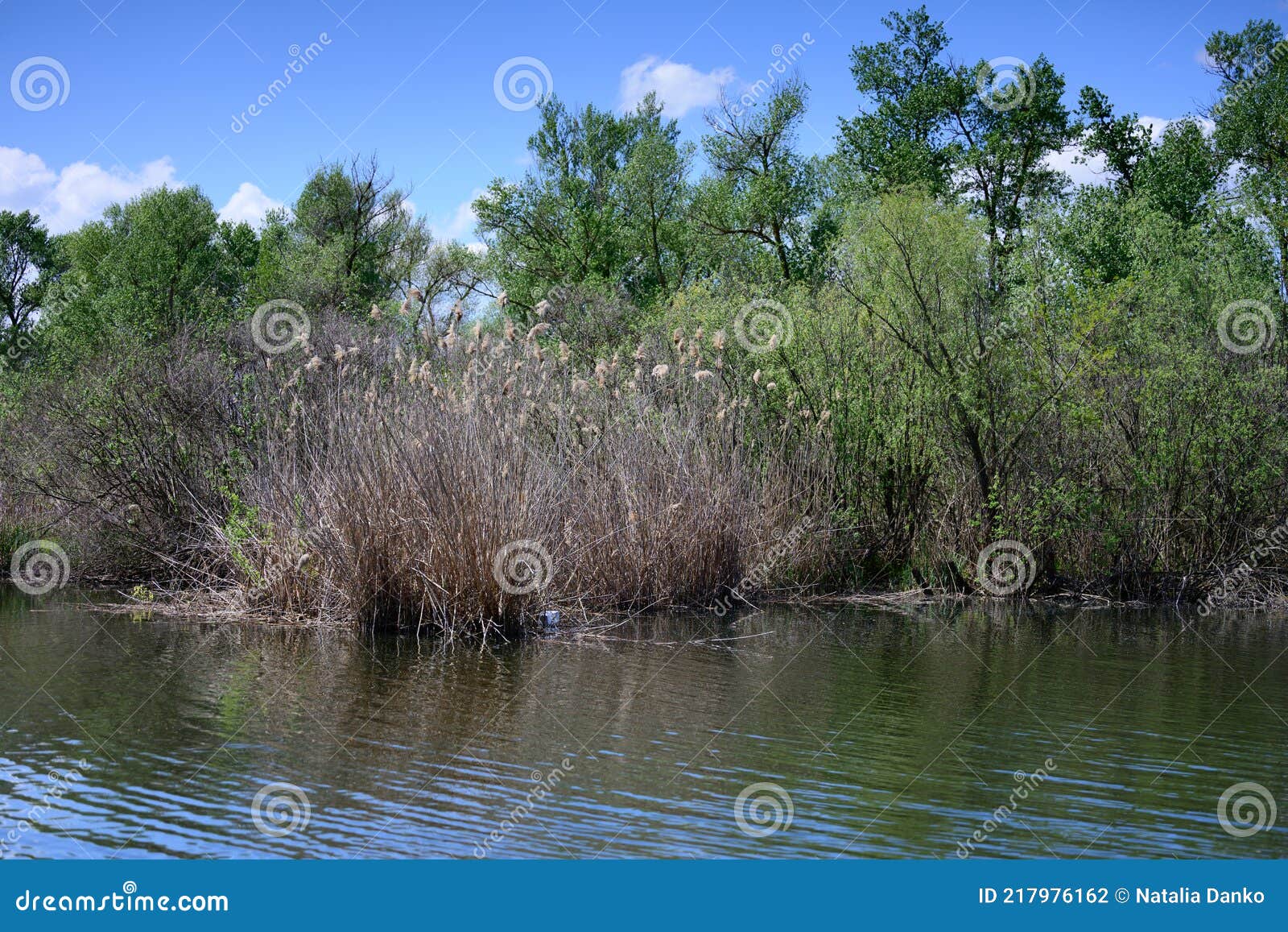River Floodplain Meanders Delta Dron Aerial Video Shot Inland Sandy ...