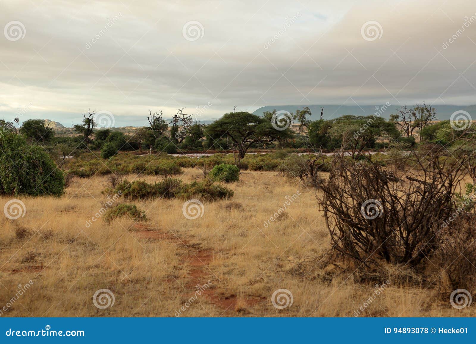 Landscapes in the North of Kenya Stock Photo - Image of national ...