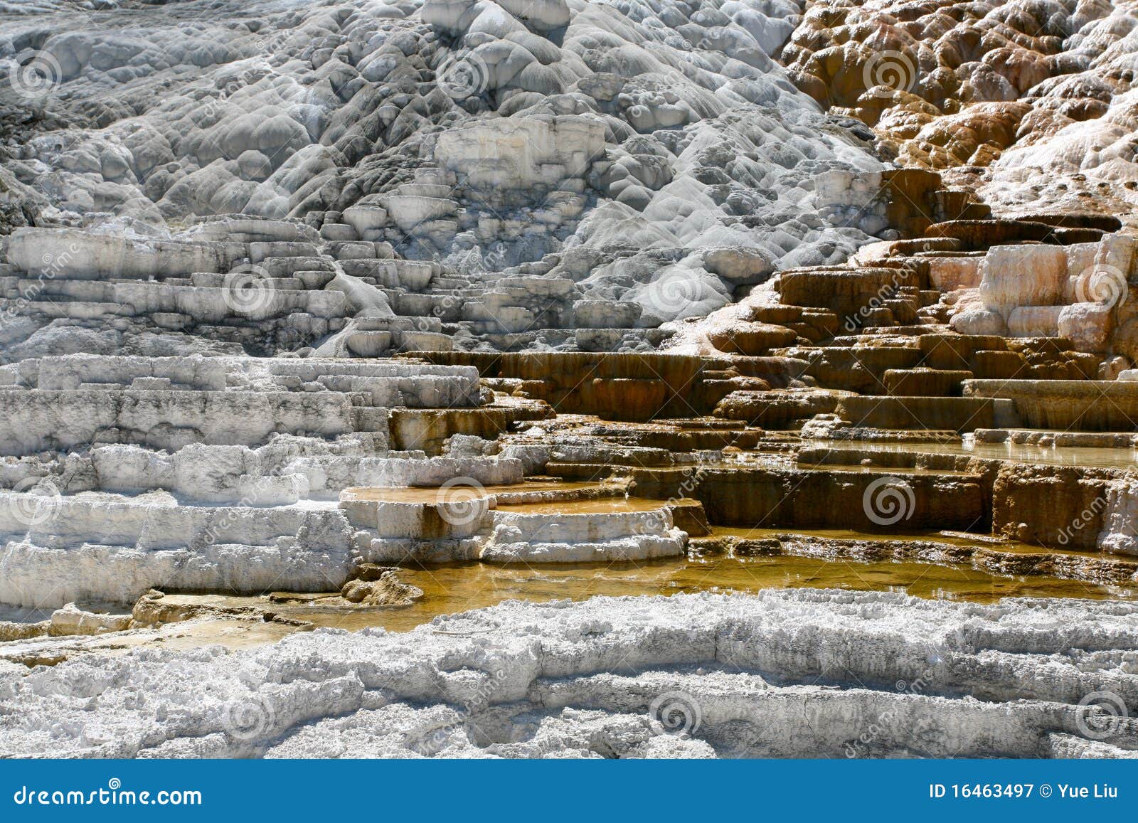 Landscapes of Yellow Stone National Park Stock Image - Image of ...