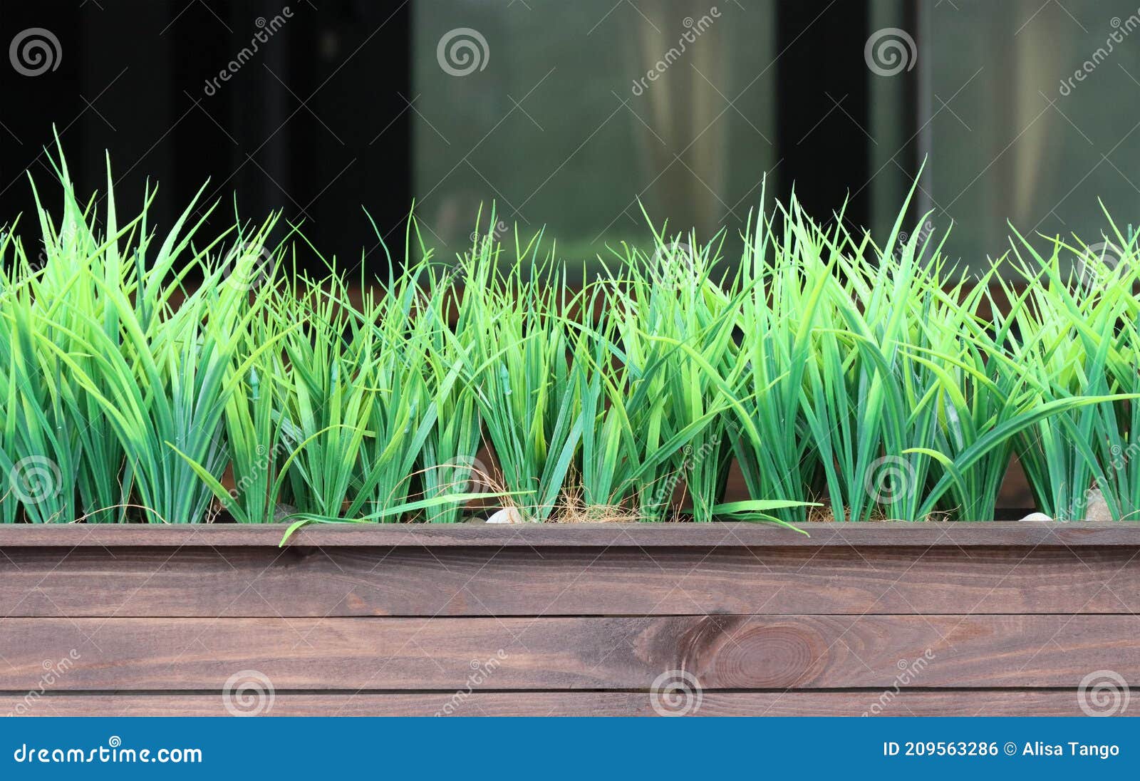 Landscaping of the Adjoining Space Stock Photo - Image of green ...