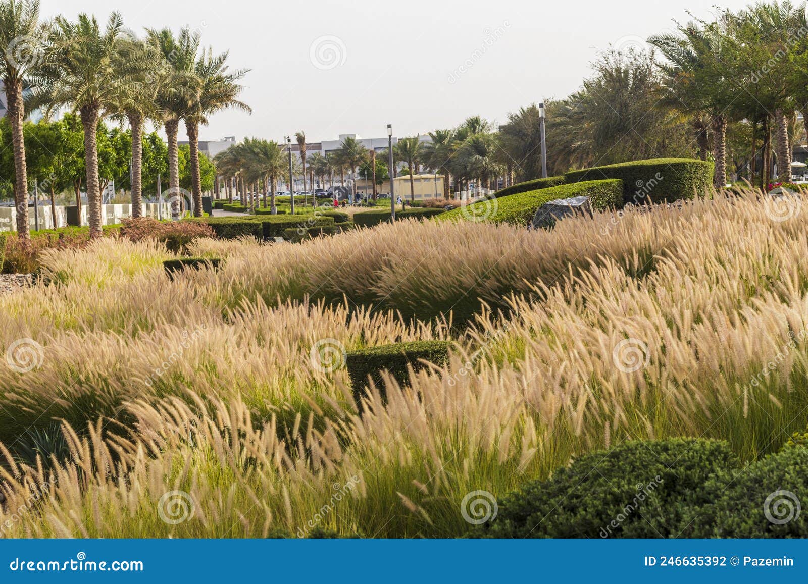 Landscaping Arrangements in the Park. Outdoors Stock Photo - Image of ...