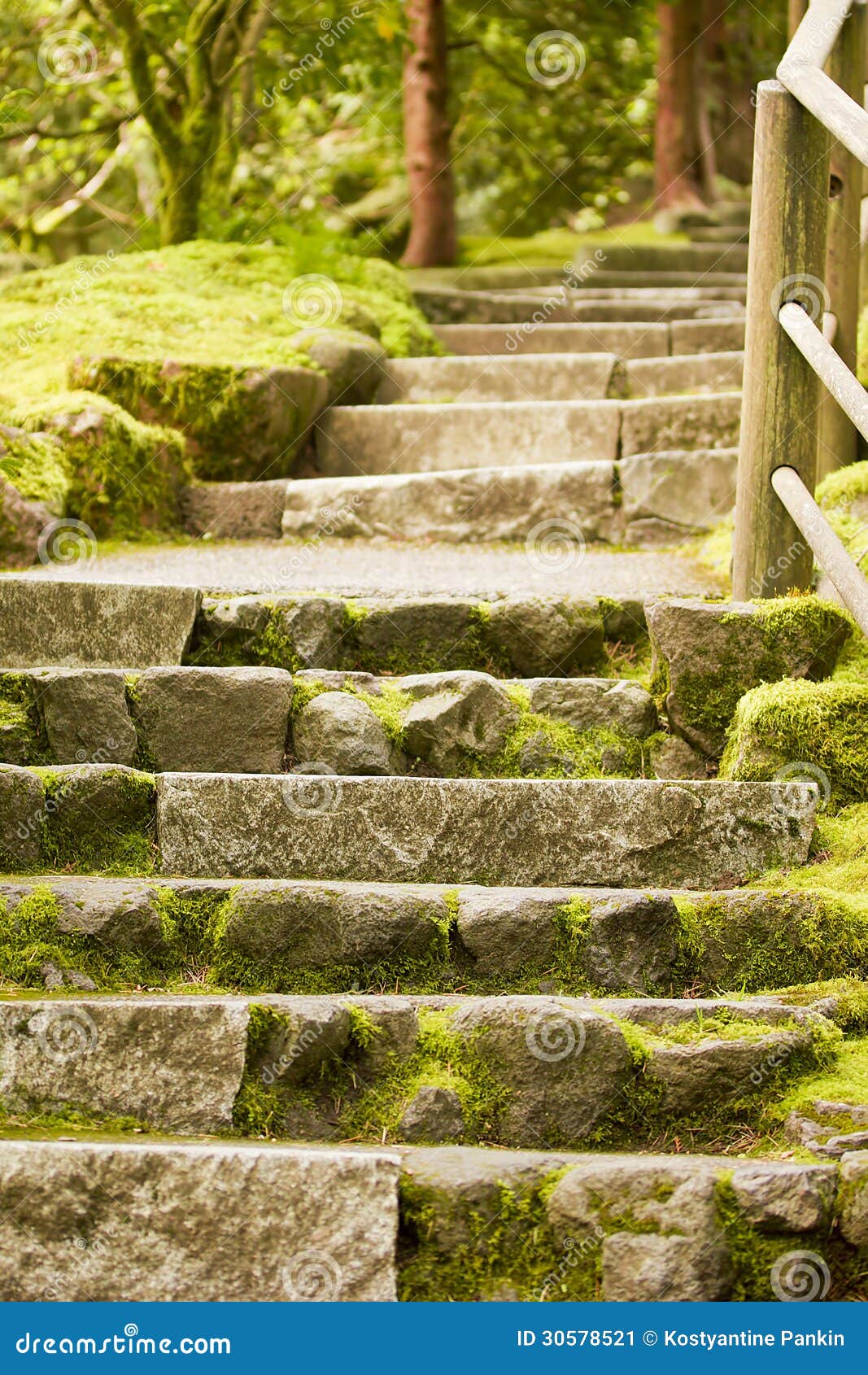 Landscaping stock image. Image of hiking, pathway, steps - 30578521
