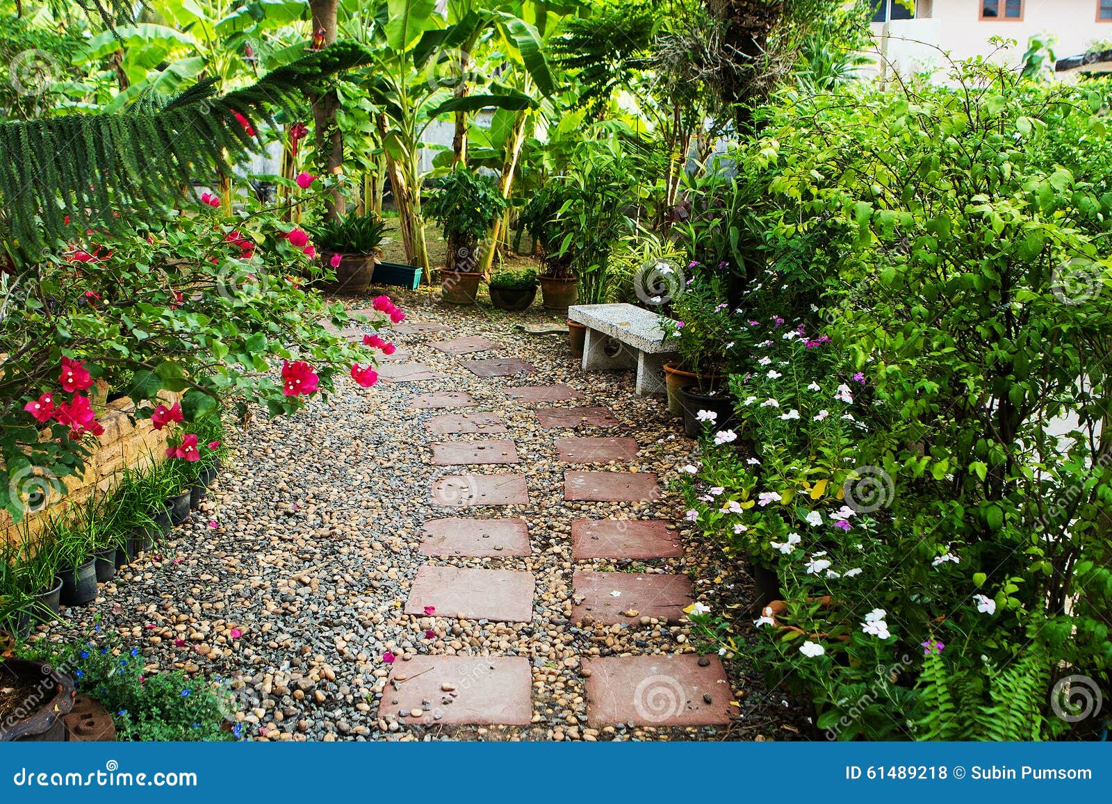 Landscaping in the garden. stock photo. Image of leaf - 61489218