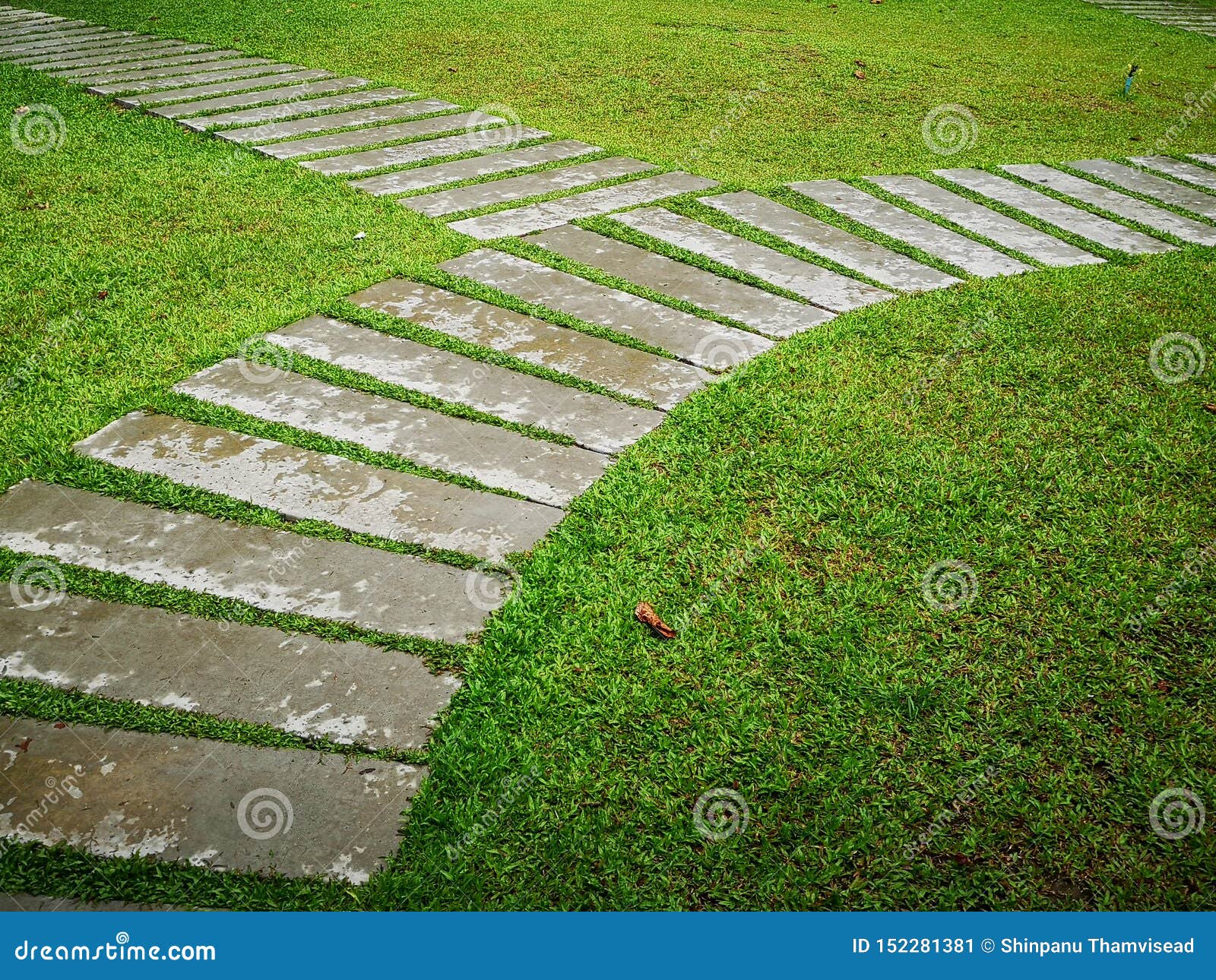 Walkway Made Stone Path on the Grass Stock Image - Image of design ...