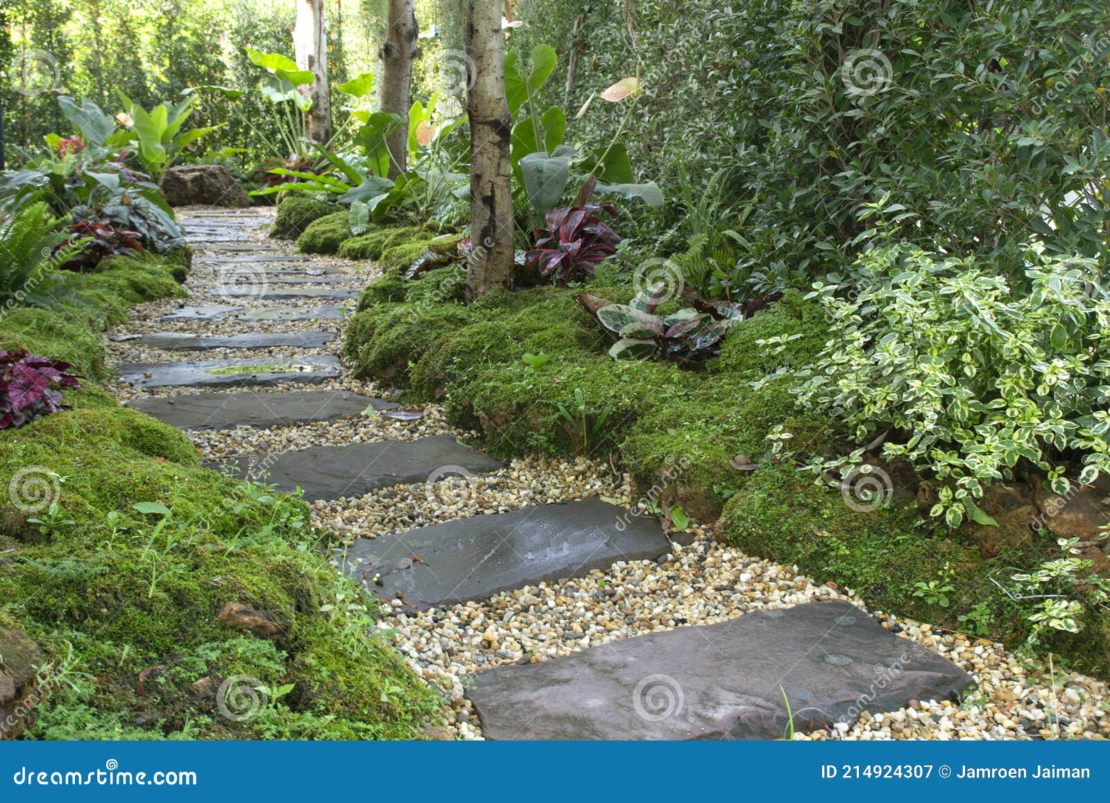 Landscaping in the Green Garden. Pathway in Park,curve Walkway with ...