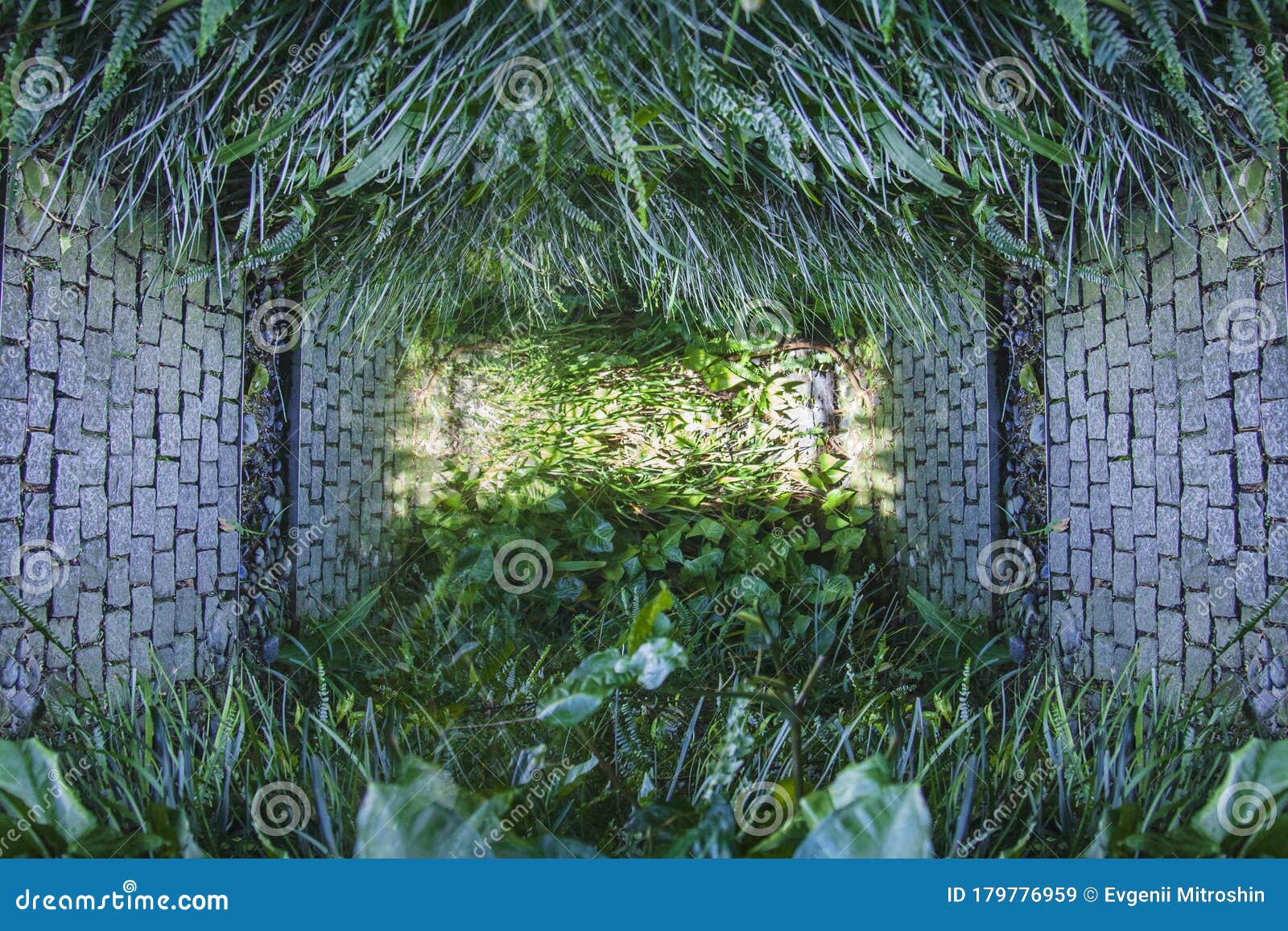 Landscaping, Green Window in the Wall from Natural Plants and Stone ...