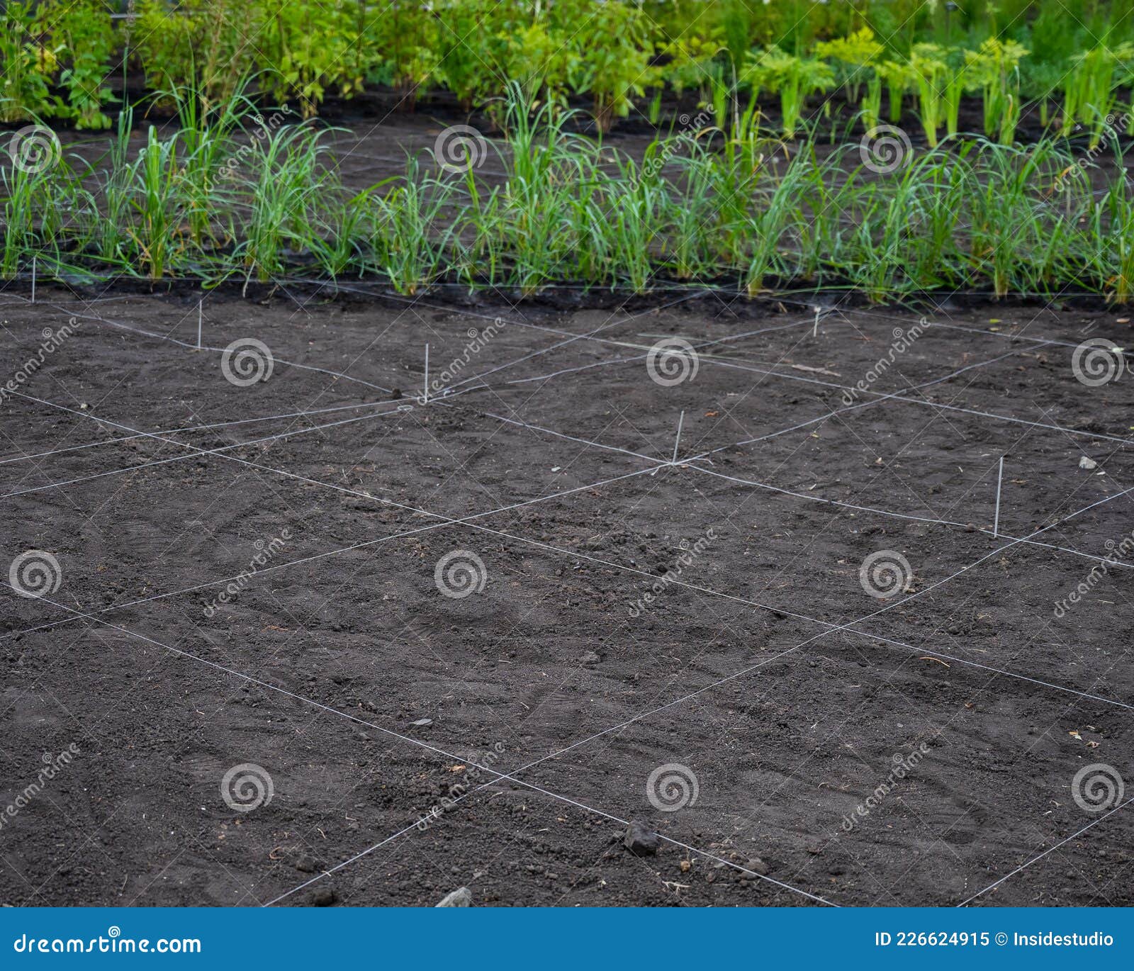 Landscaping. a Lined Plot of Land for Planting Ornamental Plants. Stock ...