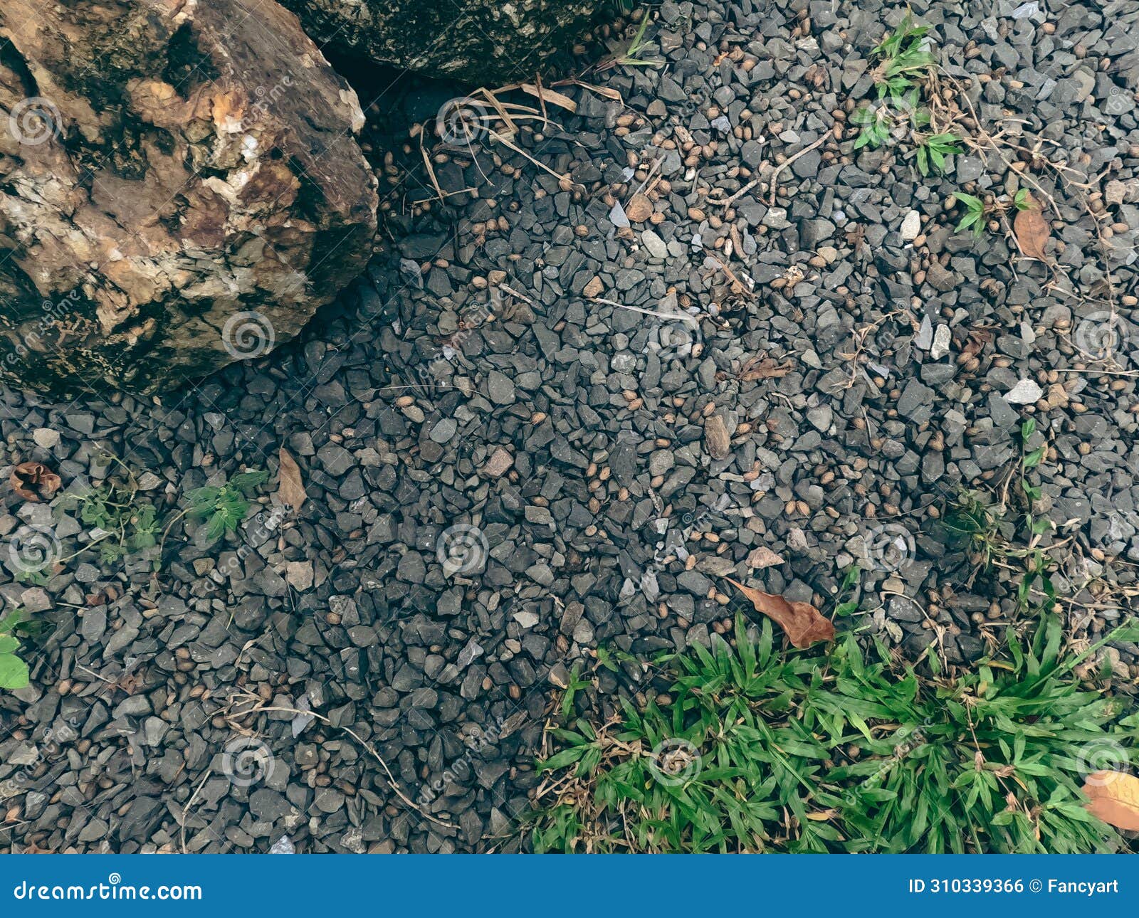 Landscaping Pathway Ground Cover with Rocks Stock Photo - Image of ...