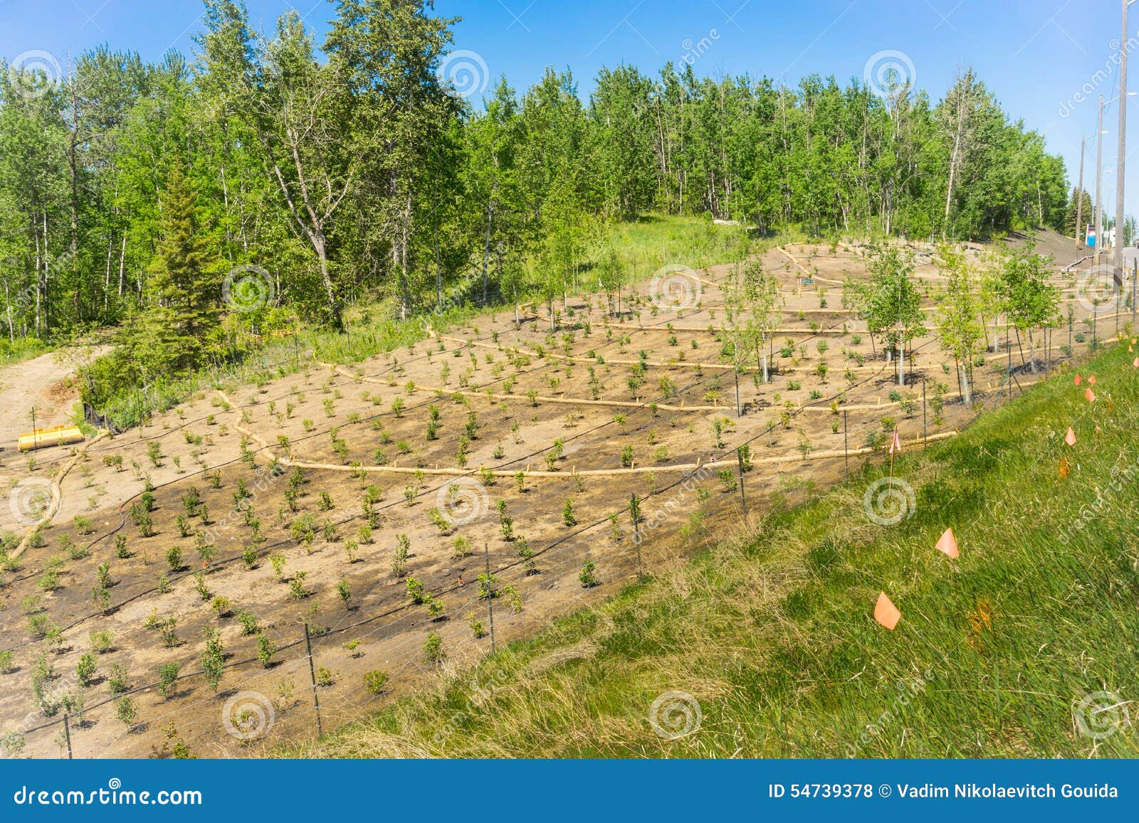 Biodegradable Erosion Control Straw Sock Royalty-Free Stock Photo ...
