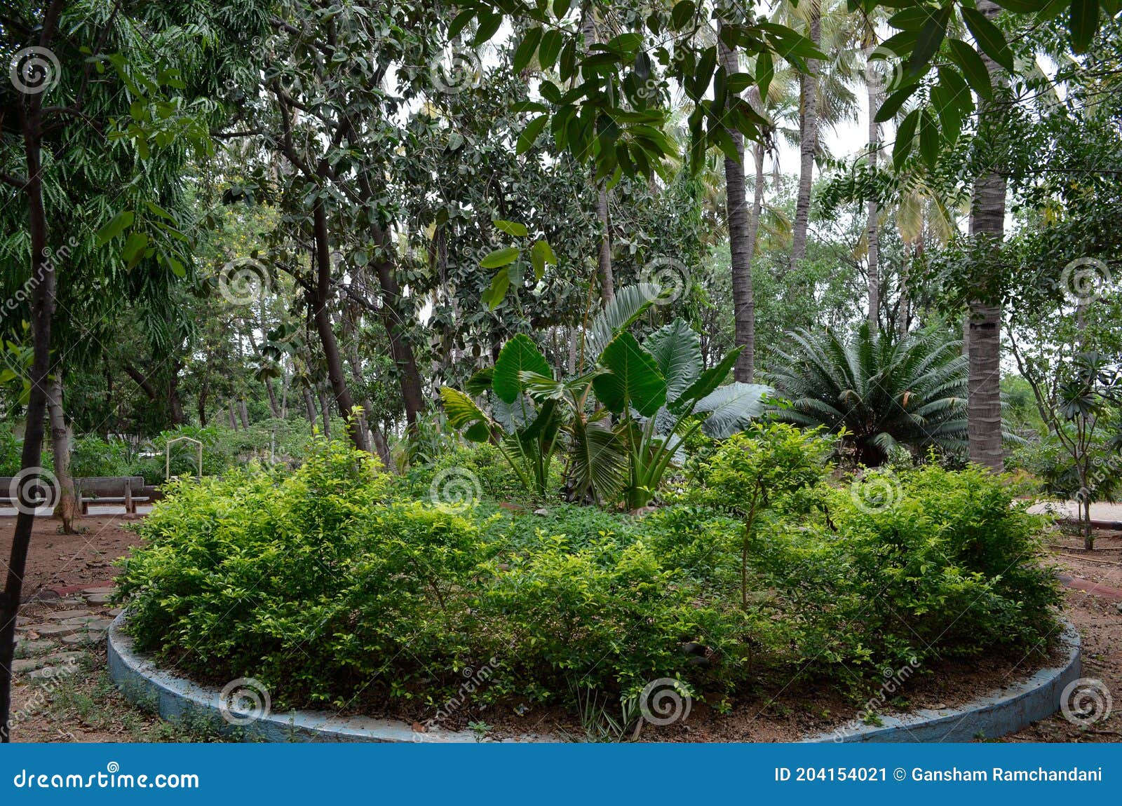 Landscaping in a resort stock image. Image of green - 204154021