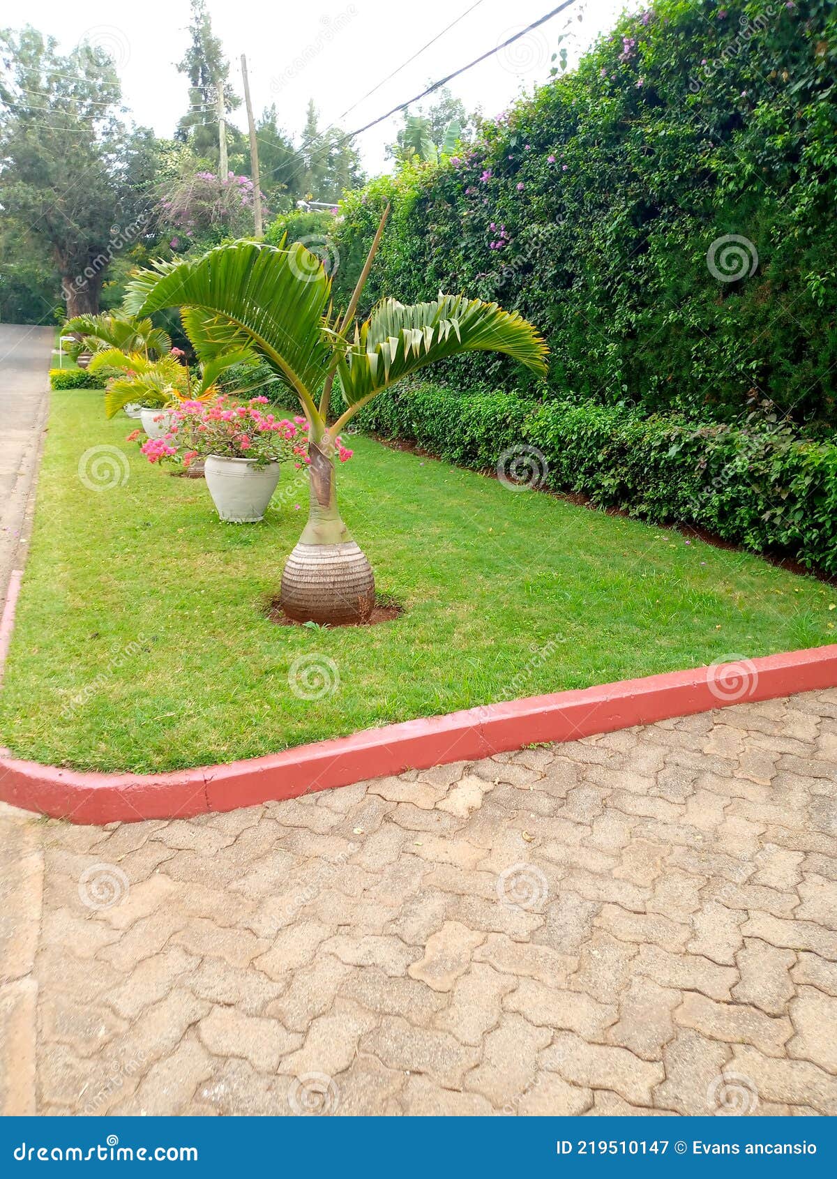 Landscaping Services Solution Provider Gardi Stock Image - Image of ...