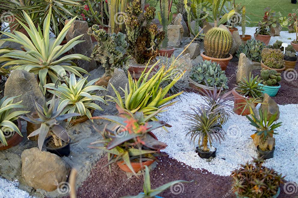 Landscaping on Small Scale Model Stock Photo - Image of land ...