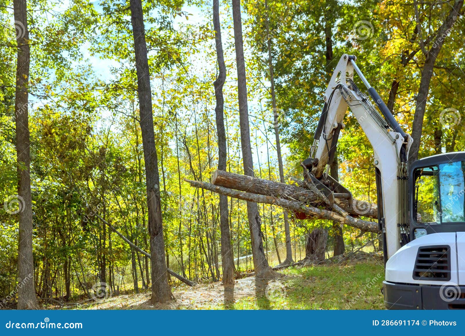 Landscaping for Housing Complex: Tractor Skid Steer Clears Trees during ...
