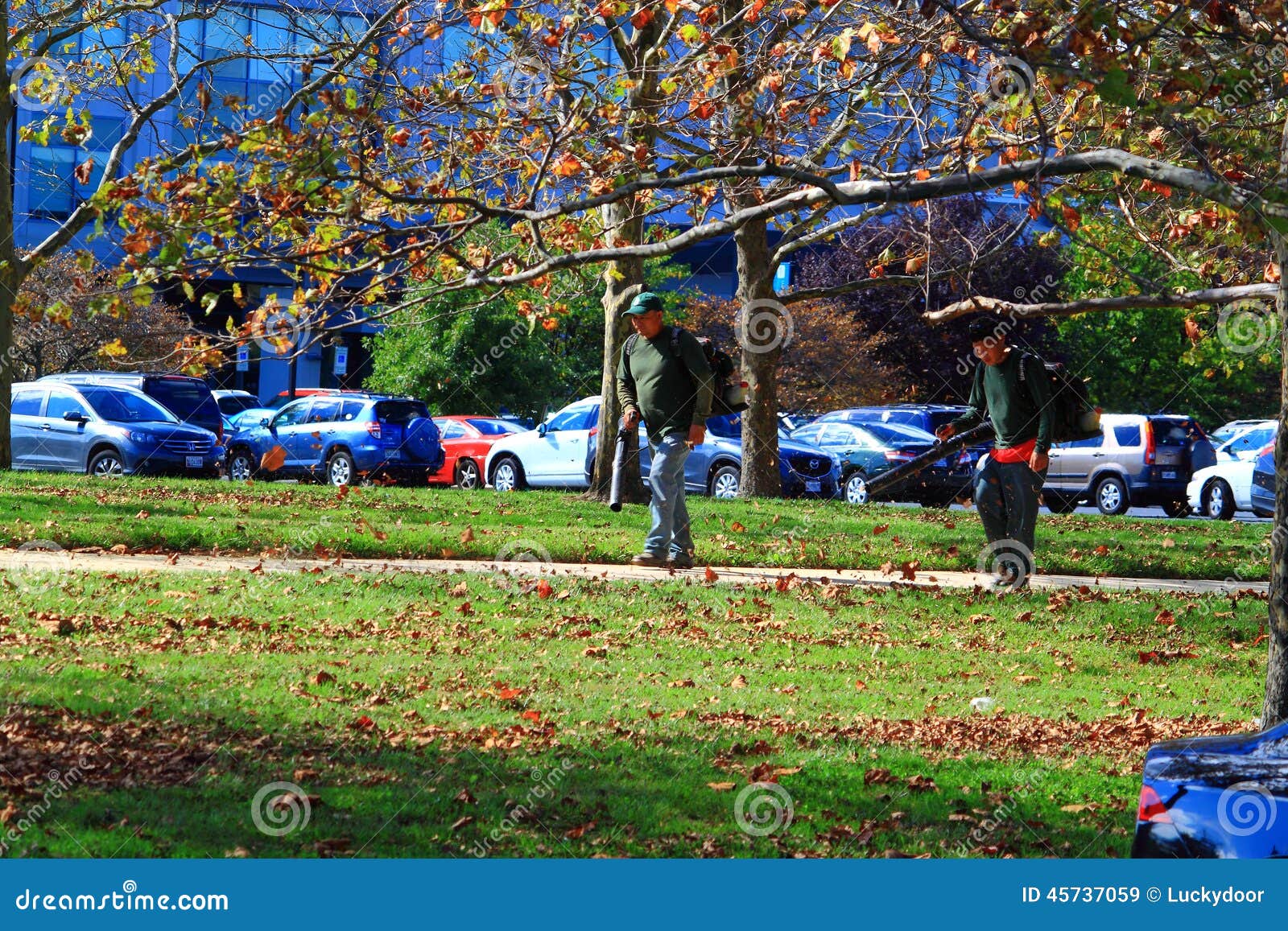 Landscaping Workers editorial stock image. Image of trees - 45737059