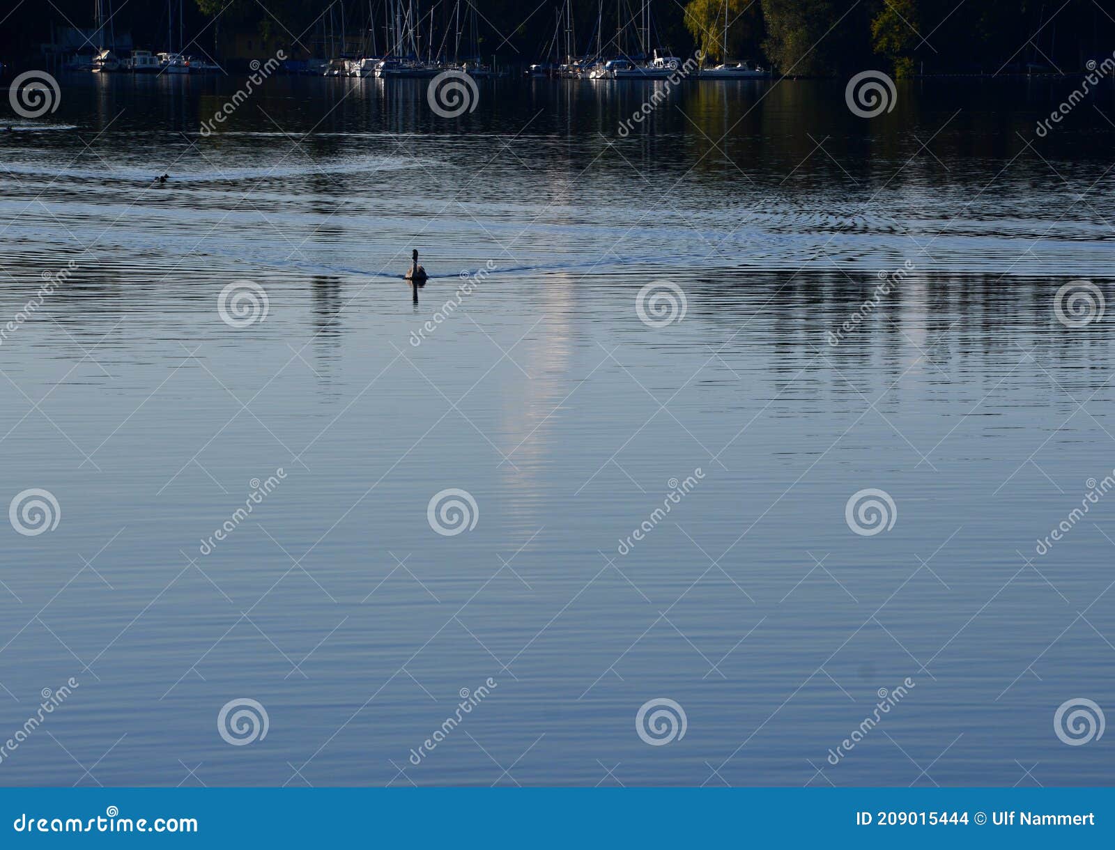 Landschaft Im Herbst am See Tegeler Sehen in Der Nachbarschaft Von ... Landschaft Im Herbst am See Tegeler Sehen in Der Nachbarschaft Von ...