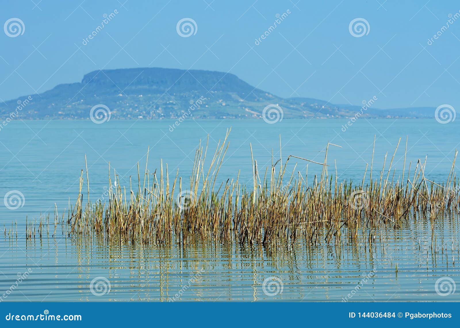 Landschaft in See Balaton stockfoto. Bild von sport - 144036484