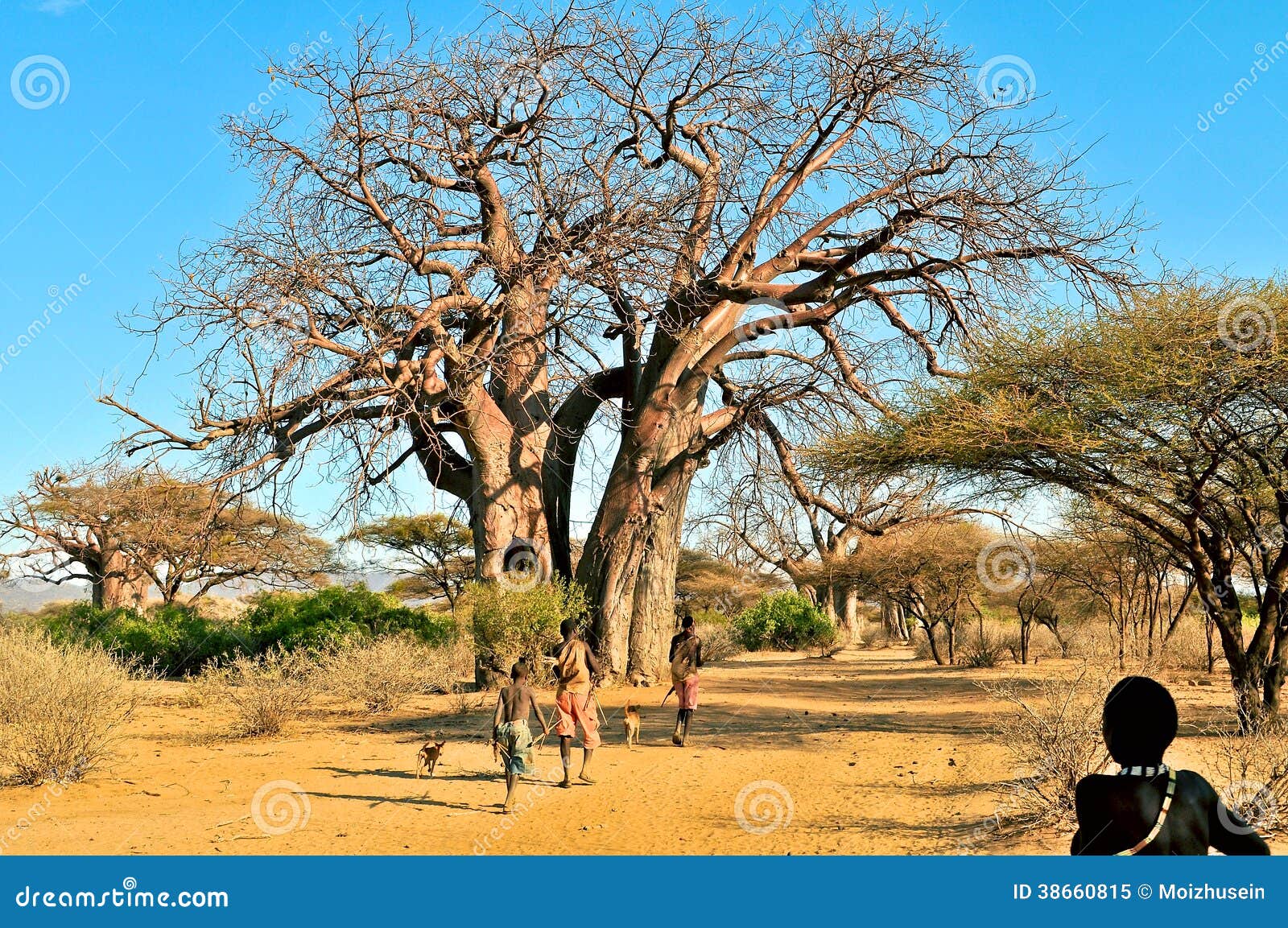 Landschaft von Tansania stockbild. Bild von savanne, ebene - 38660815