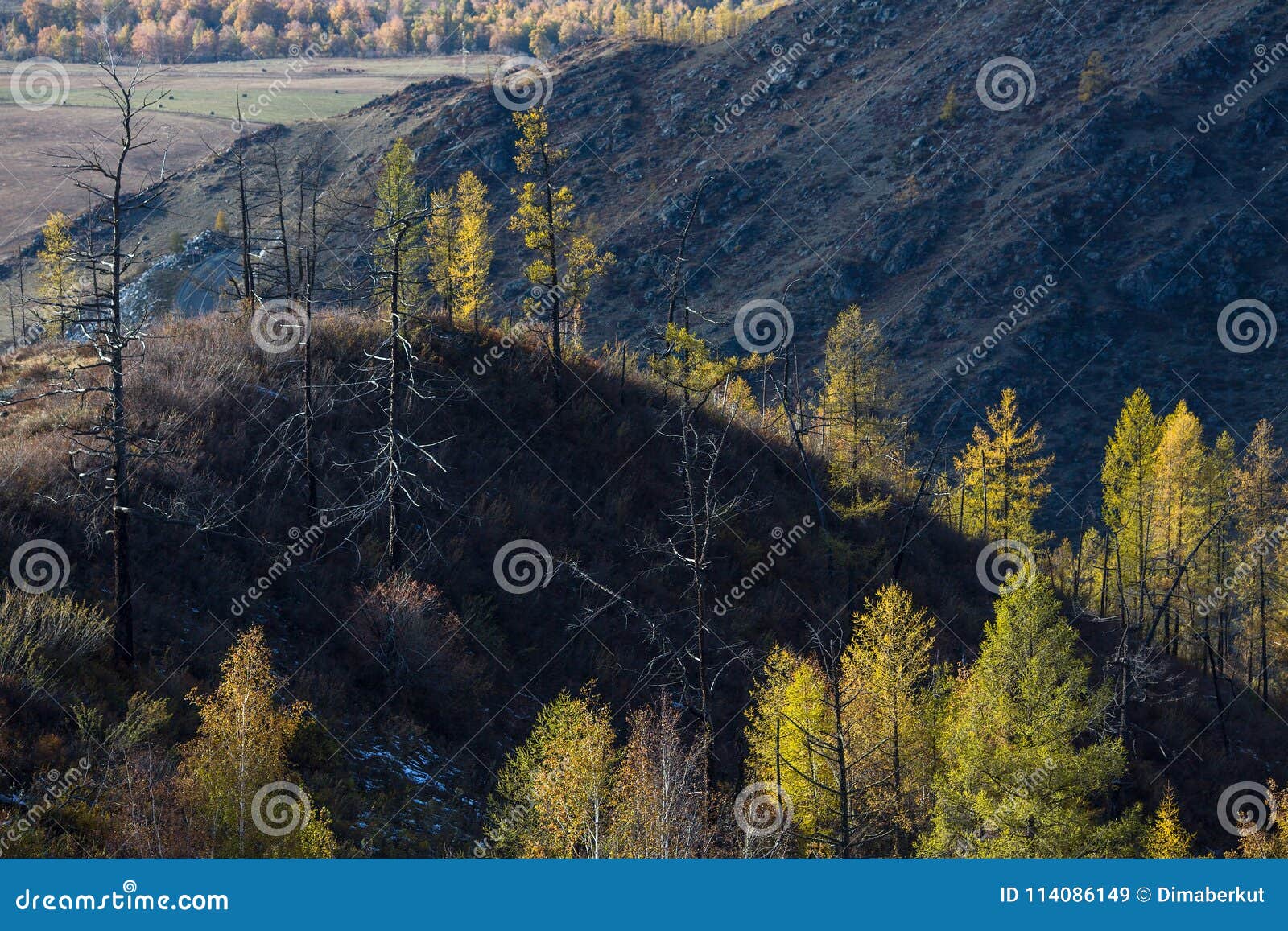 Landschaften Der Altai-Republik-Berge am Herbst Stockbild - Bild von ...