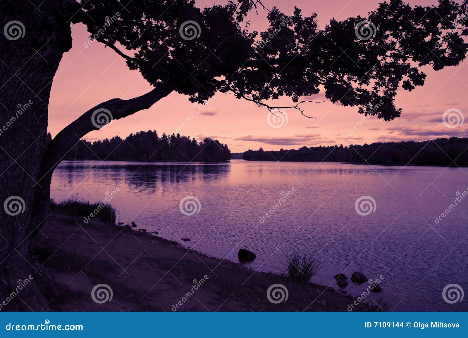 Landschap met meer en bos stock foto. Image of struiken - 7109144