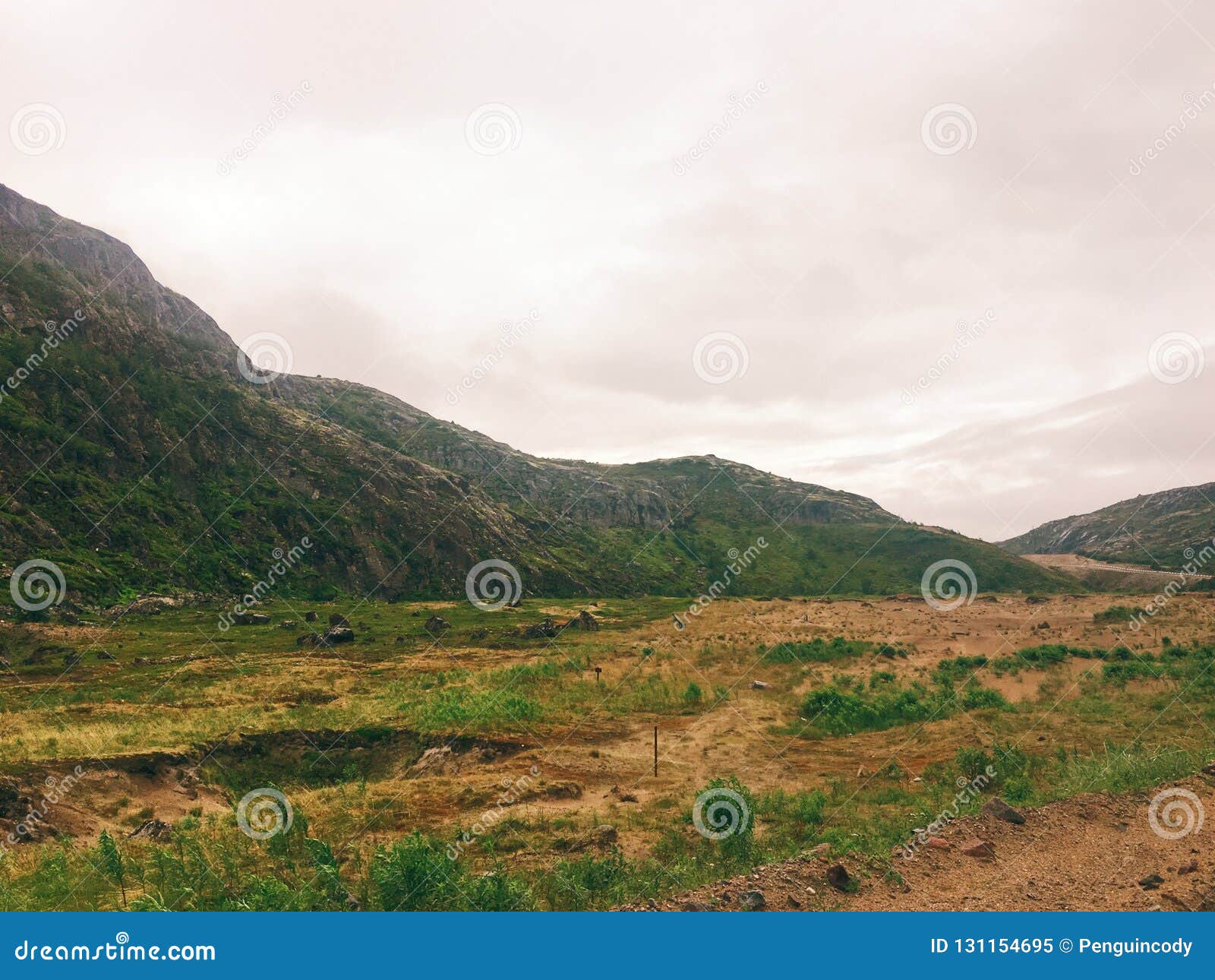 Landschap in toendra stock afbeelding. Image of russisch - 131154695