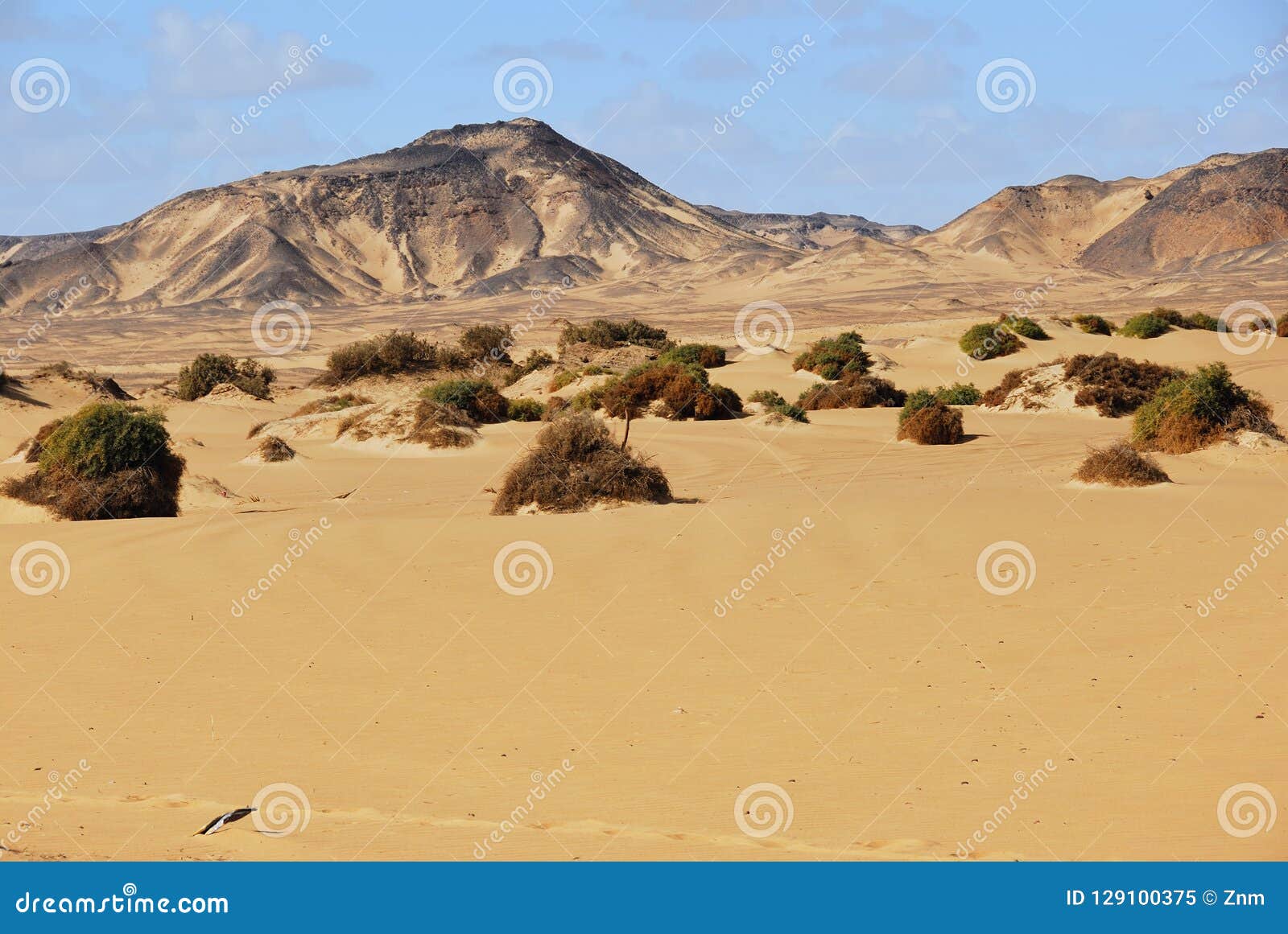 Landschap Van De Westelijke Woestijn De Sahara, Egypte Stock Afbeelding ...