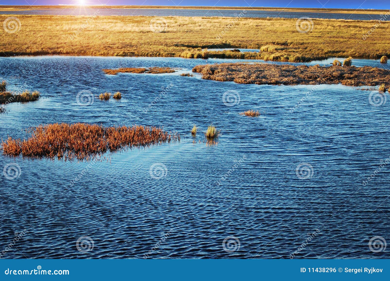 Landschap van toendra stock foto. Image of permafrost - 11438296