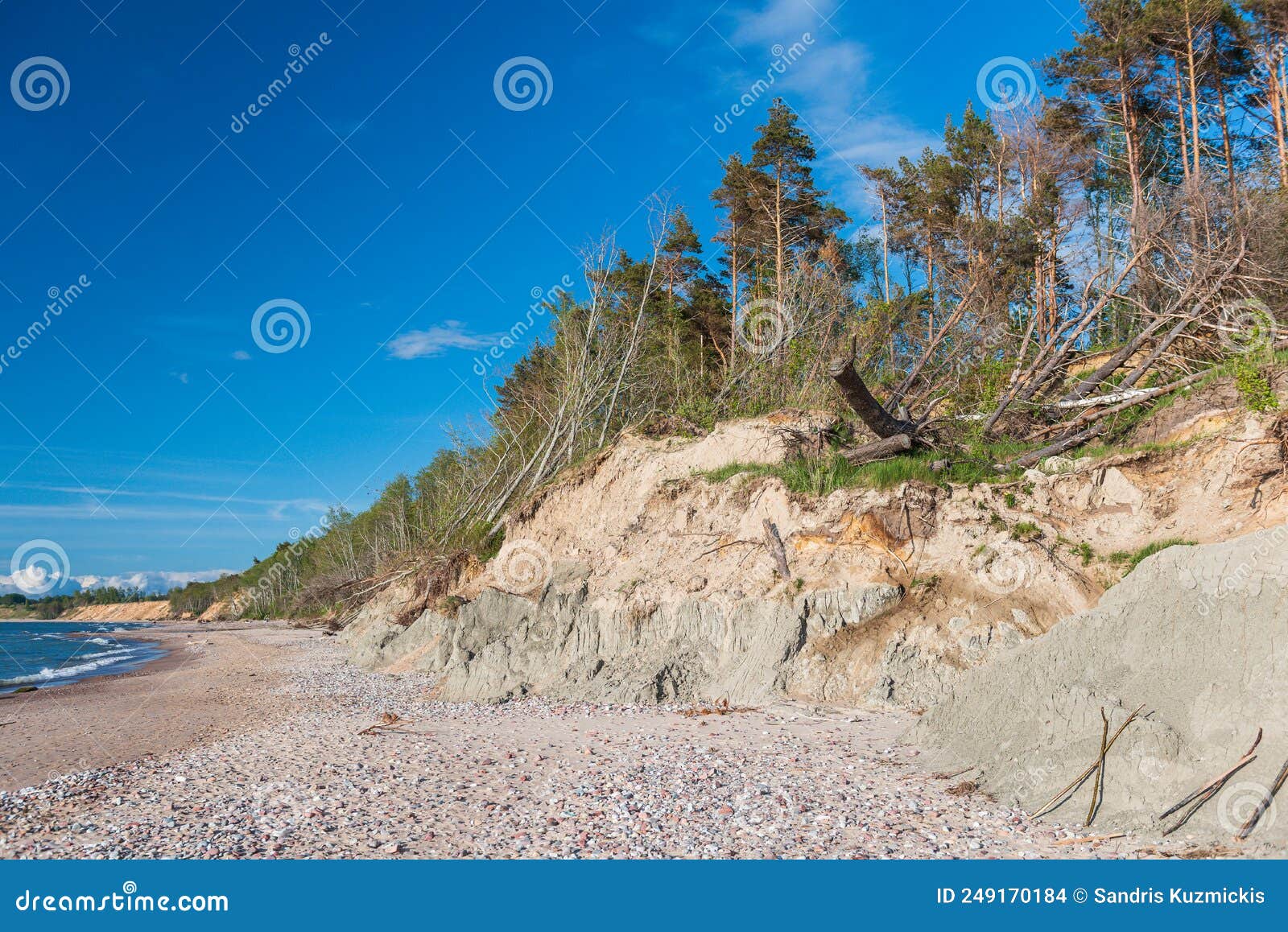 Landslide Cliff by the Sea with Trees, Labrags, Latvia Stock Photo ...