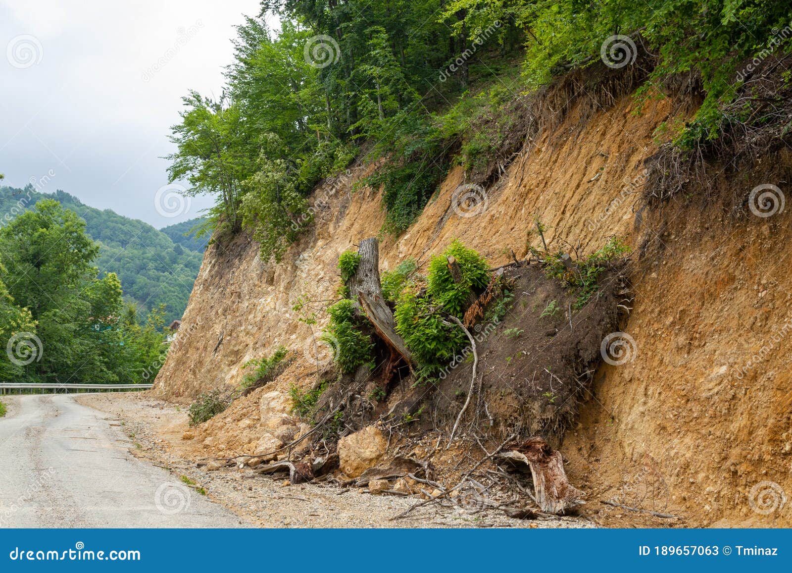 Landslide on the Forest Road Stock Image - Image of road, dangerous ...