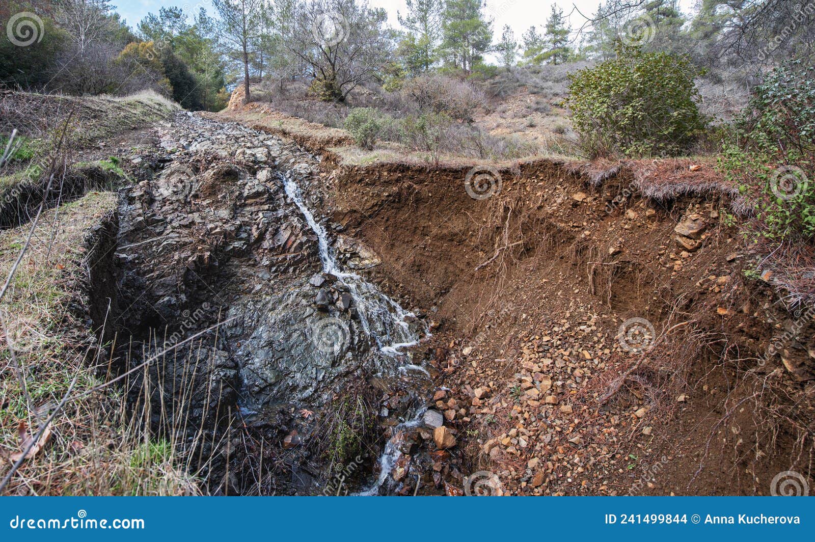 Landslide on a Forest Road, Washed Out by Heavy Rainfall Stock Photo ...
