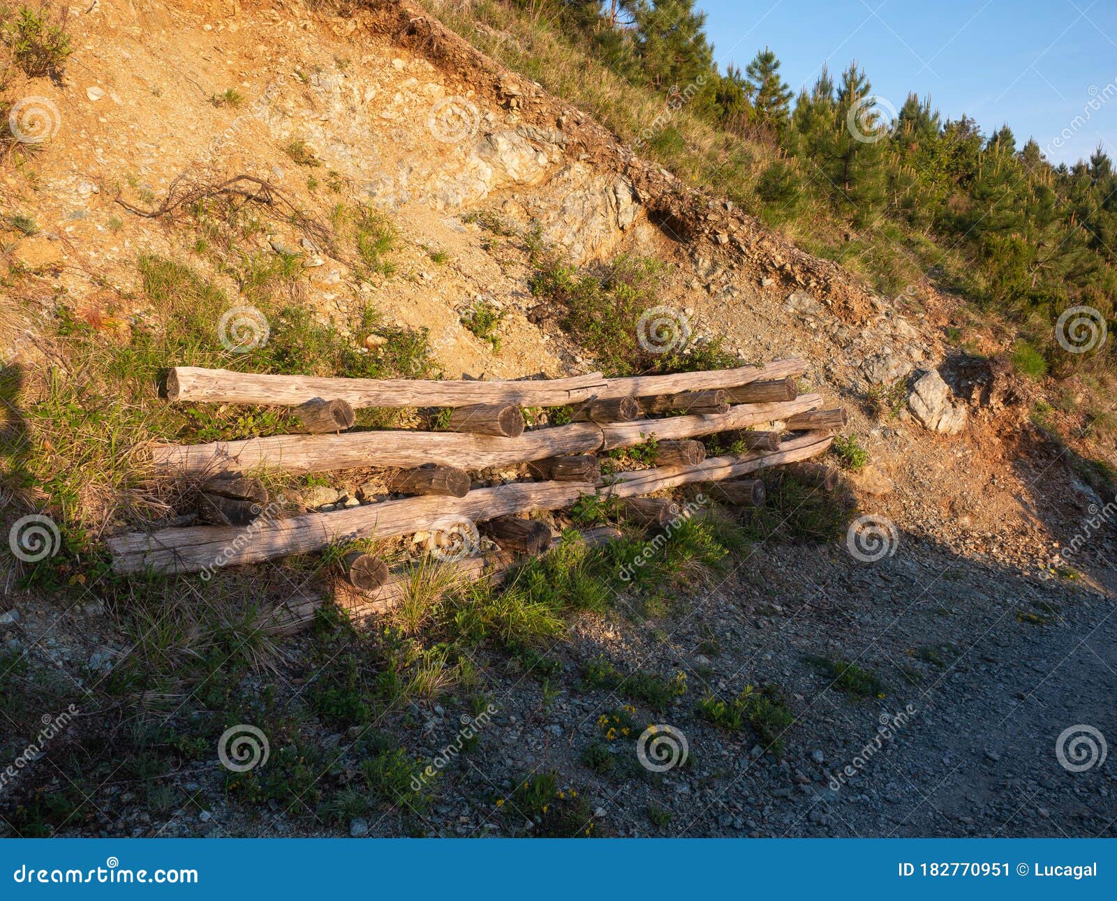 Landslide Prevention: Structure Made with Trunks To Consolidate the ...